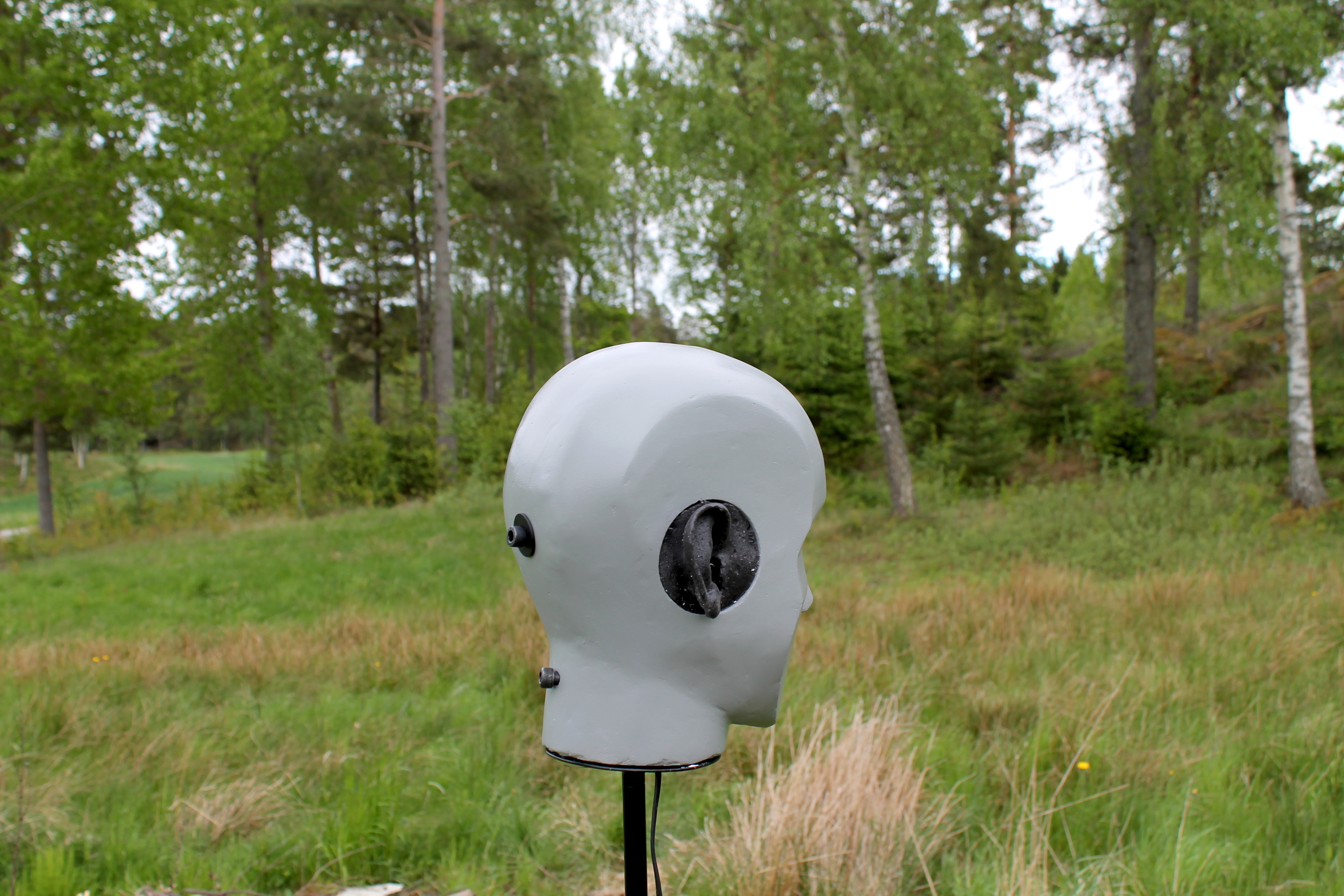 Binaural Head for Stereo Recording : 8 Steps (with Pictures ...