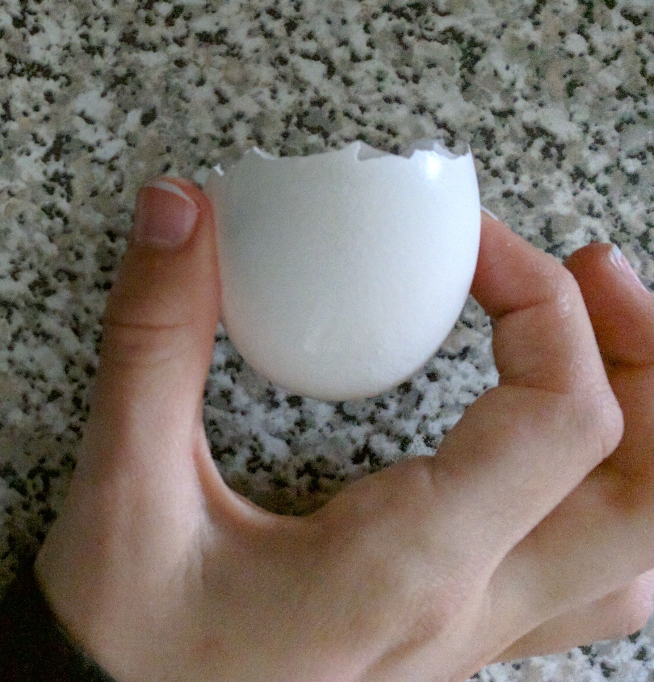 Egg Shell Gardening Pot : 3 Steps (with Pictures) - Instructables