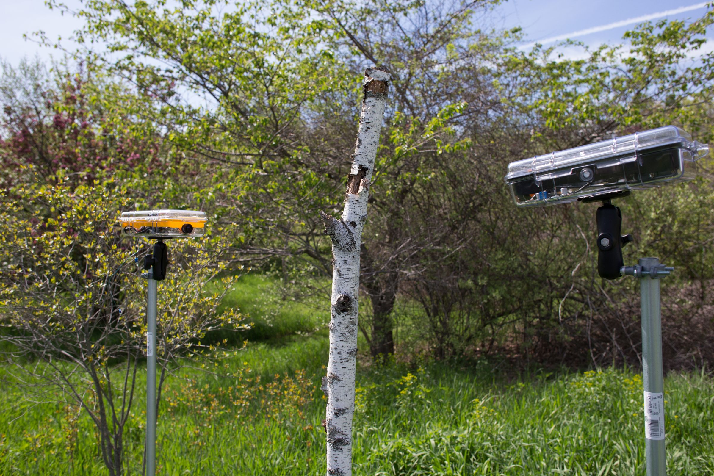 Building an Active Infrared DSLR Camera Trap for Wildlife Photography ...