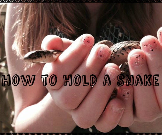 How to Hold a Snake : 3 Steps - Instructables