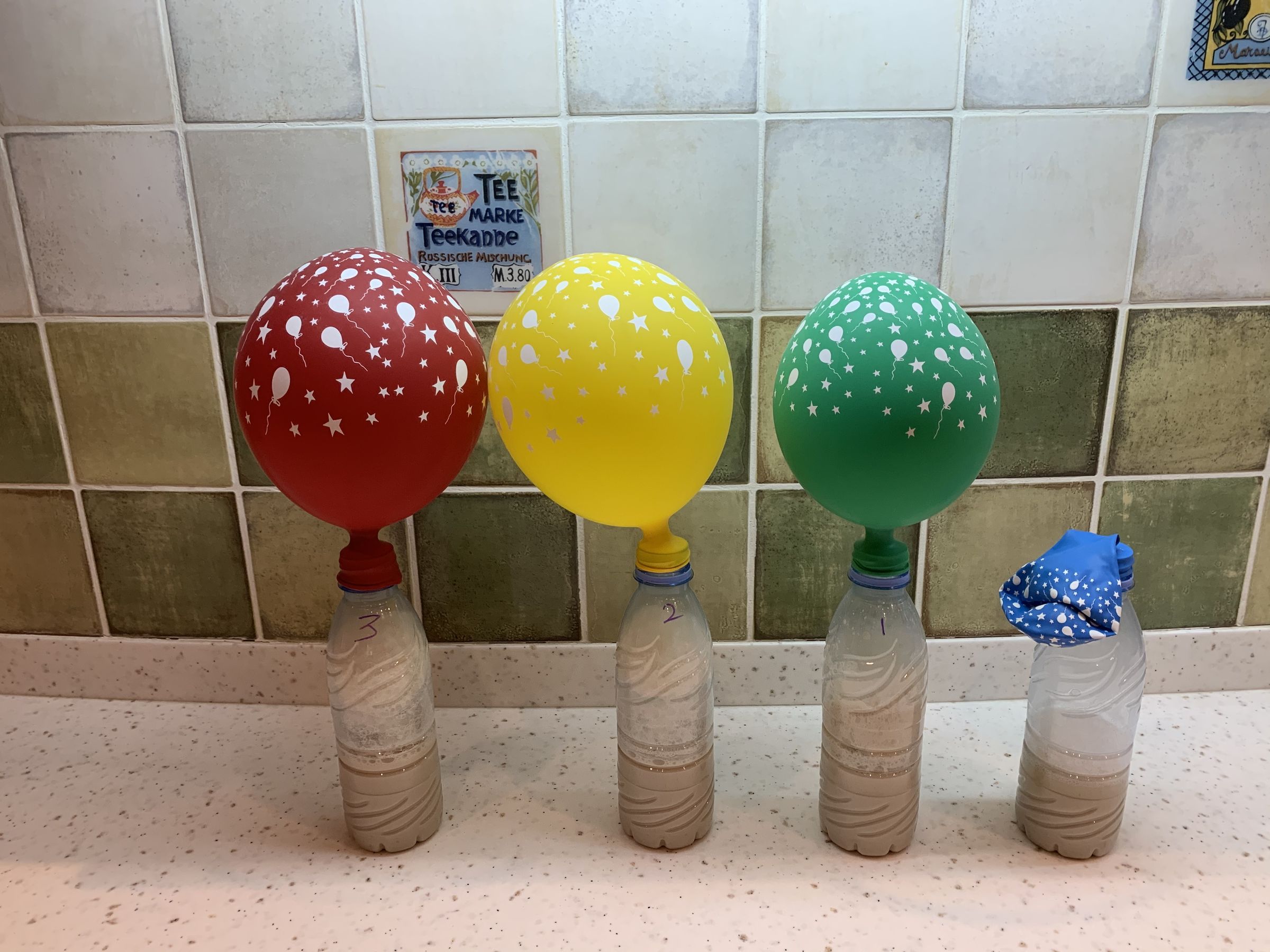 Yeast Fermentation Balloon