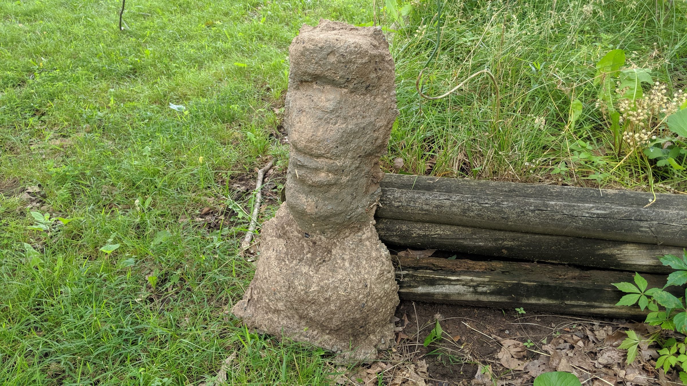 Make a Lawn Statue, Copied From (almost) Anything : 3 Steps (with ...