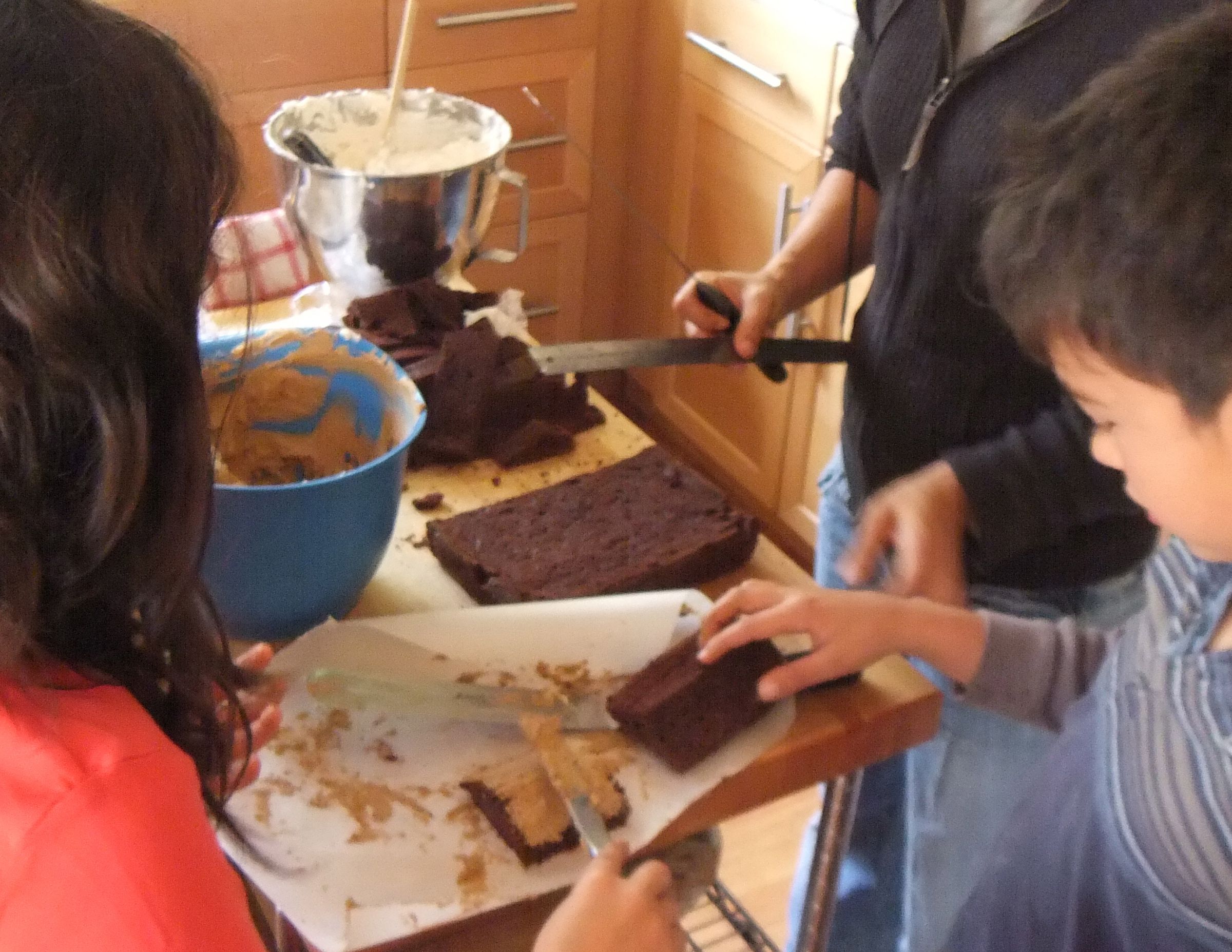 Cake Construction - Mission Santa Cruz, Mt. McKinley & Stone Quarry : 4 ...
