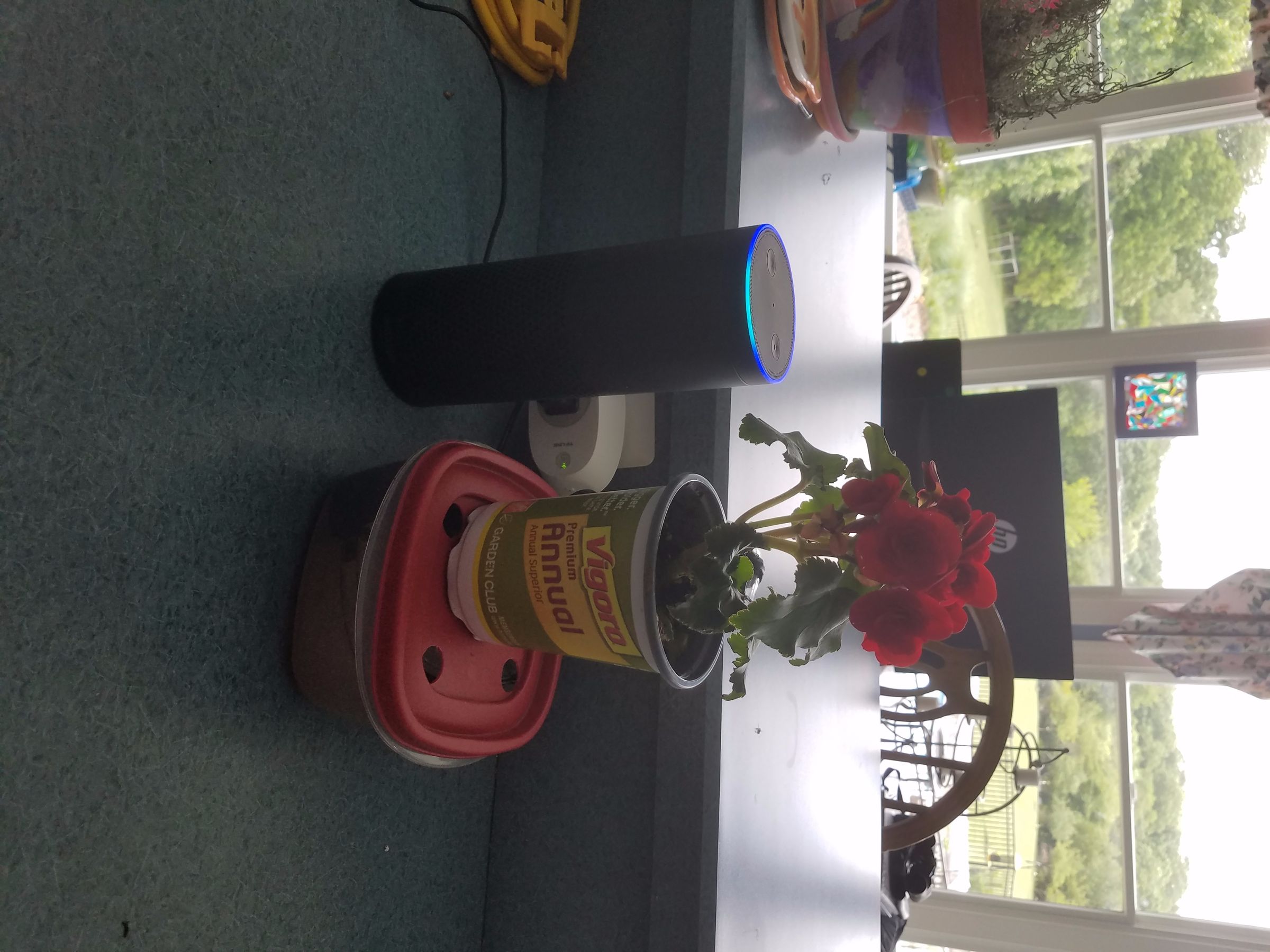 Amazon Echo(Alexa) Plant Waterer : 7 Steps - Instructables