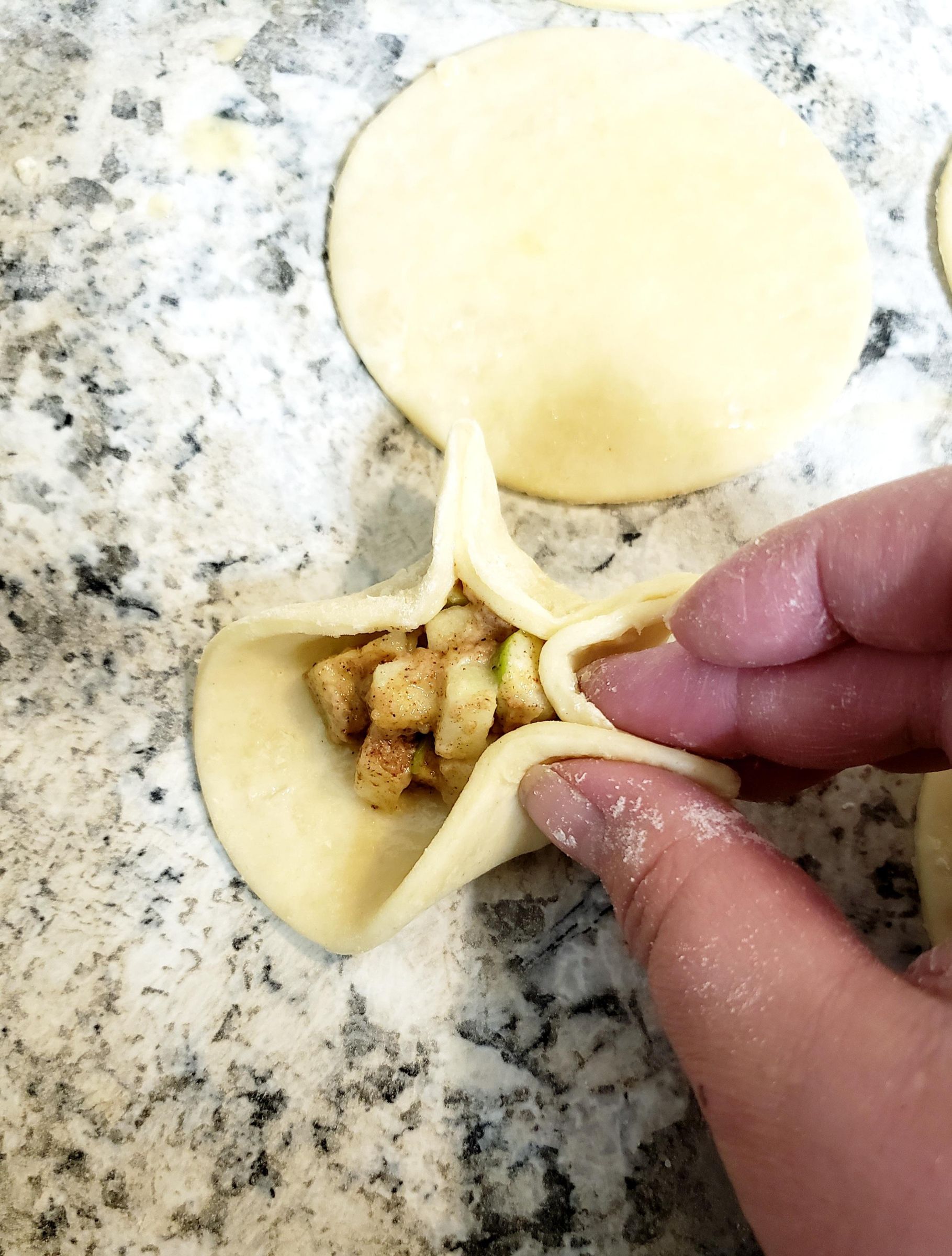 Floral Pinch Pies : 17 Steps (with Pictures) - Instructables