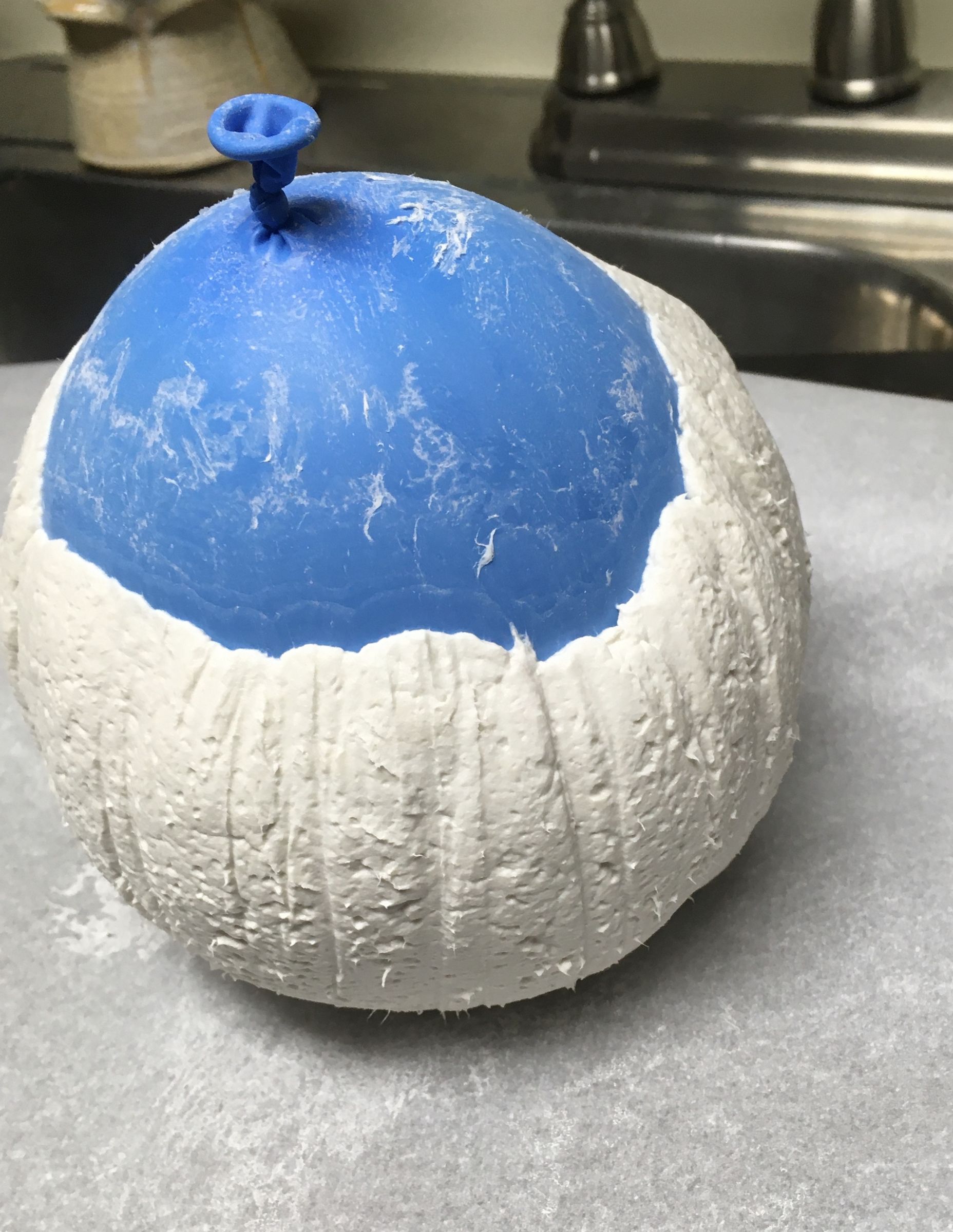 Barnacle Sculptures--and an Experiment With 2 Kinds of Homemade Paper ...