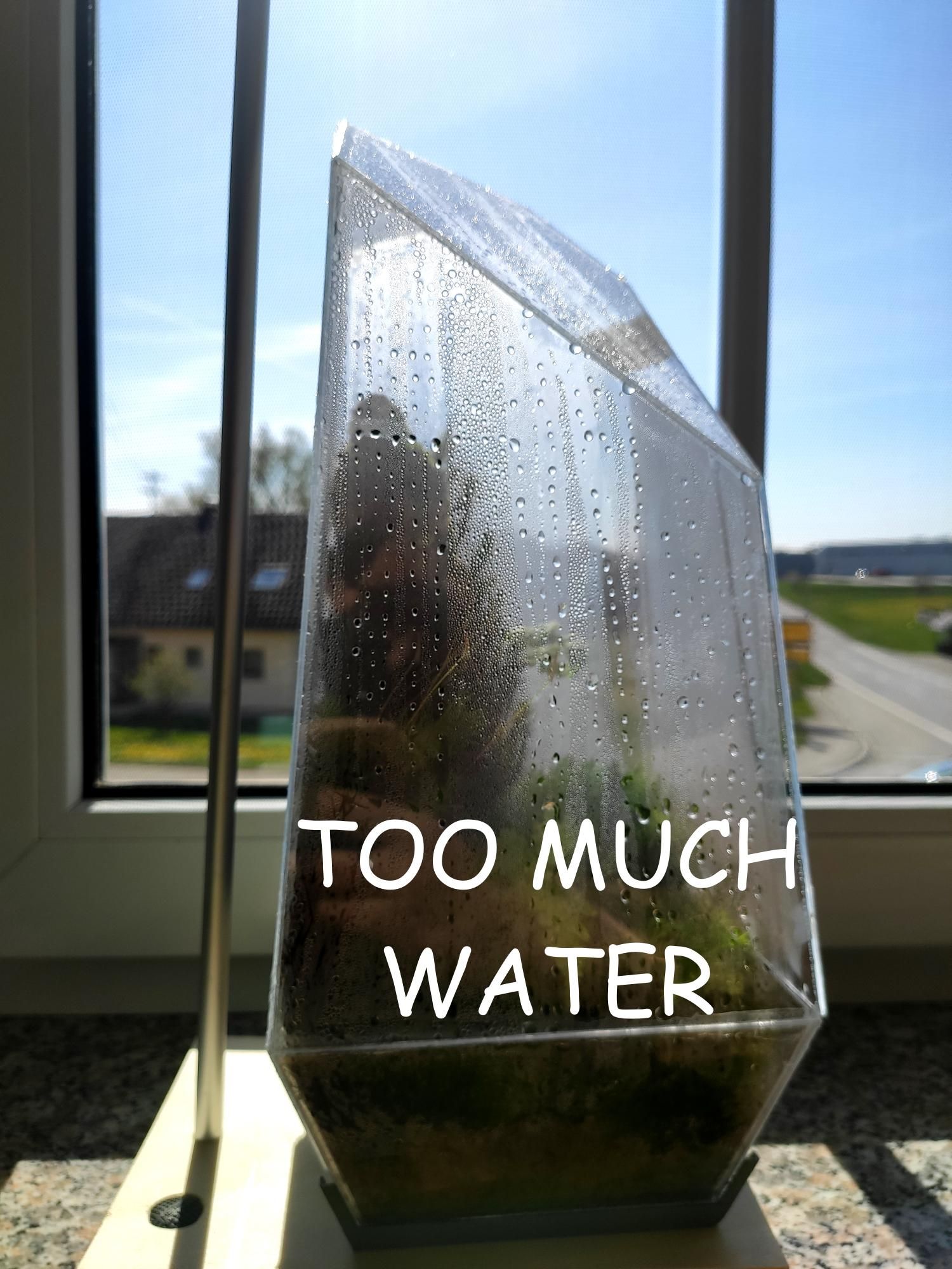 The Eco-Crystal - Mini Ecosystem in a Crystal Shaped Planter : 7 Steps ...