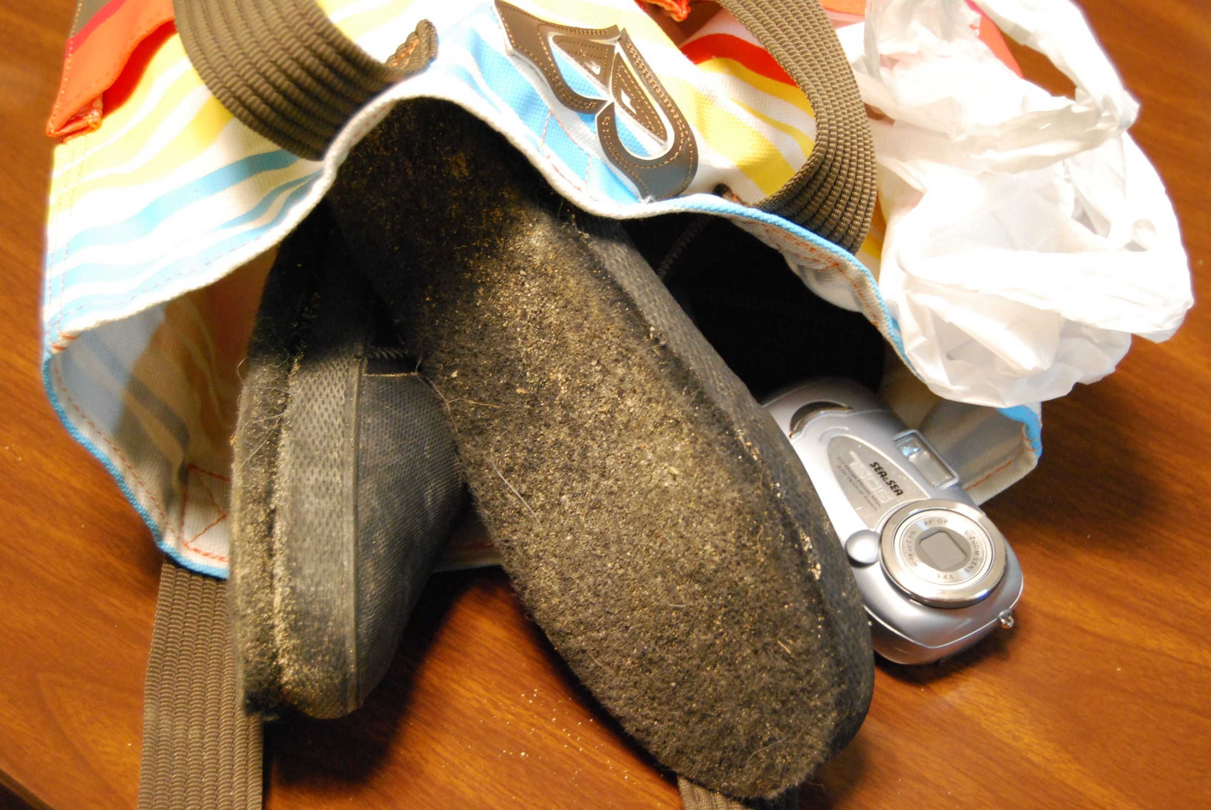 Guide to Beach Combing : 4 Steps (with Pictures) - Instructables