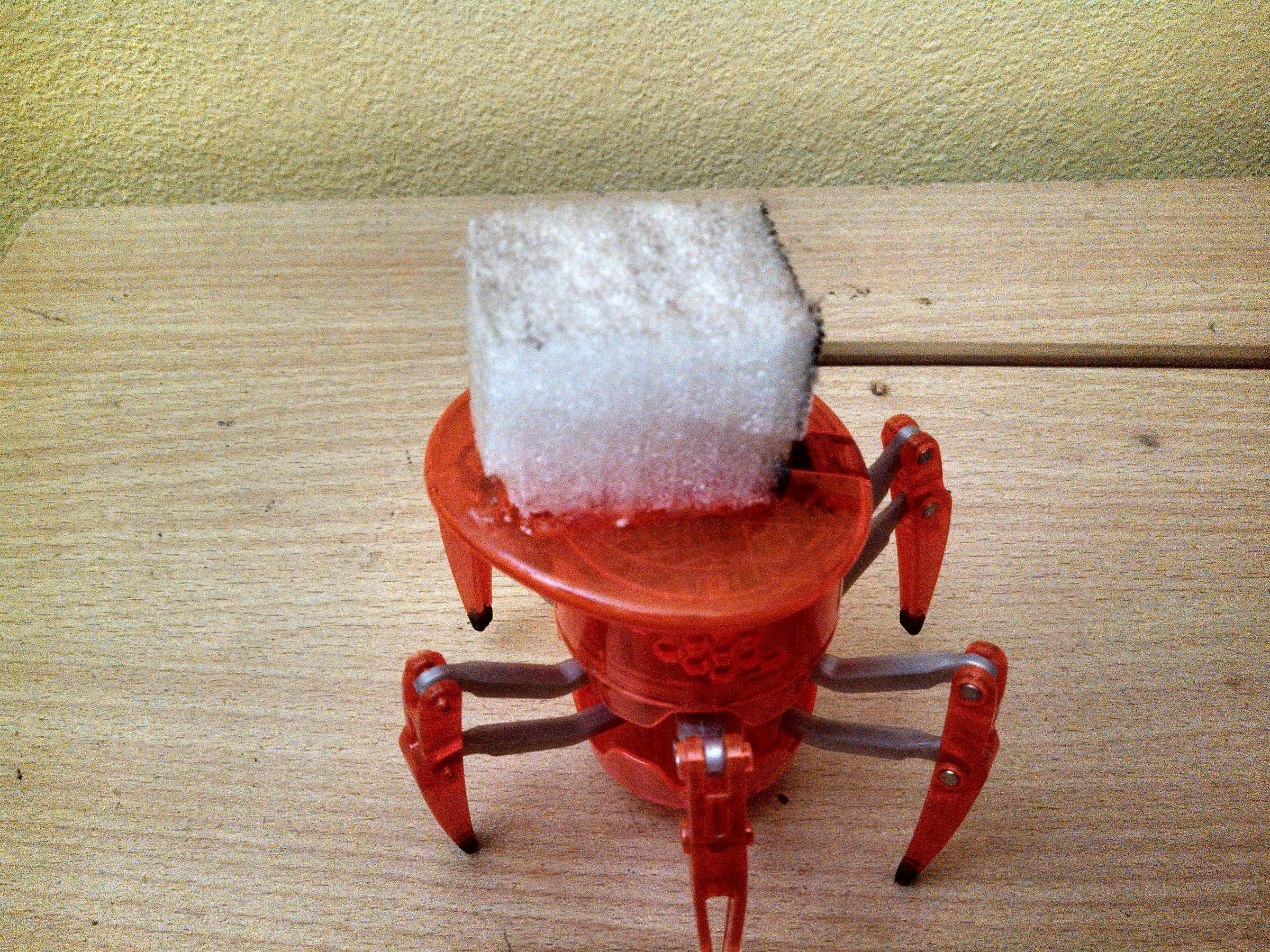 MODIFY YOUR HEXBUG SPIDER WITH WASTE MATERIAL. : 8 Steps - Instructables