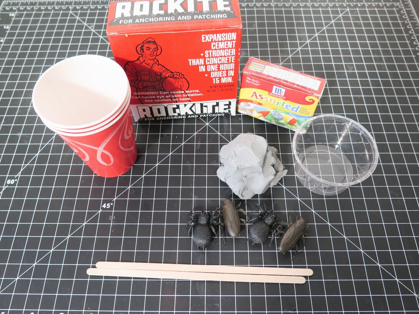 Homemade Fossils! : 5 Steps (with Pictures) - Instructables