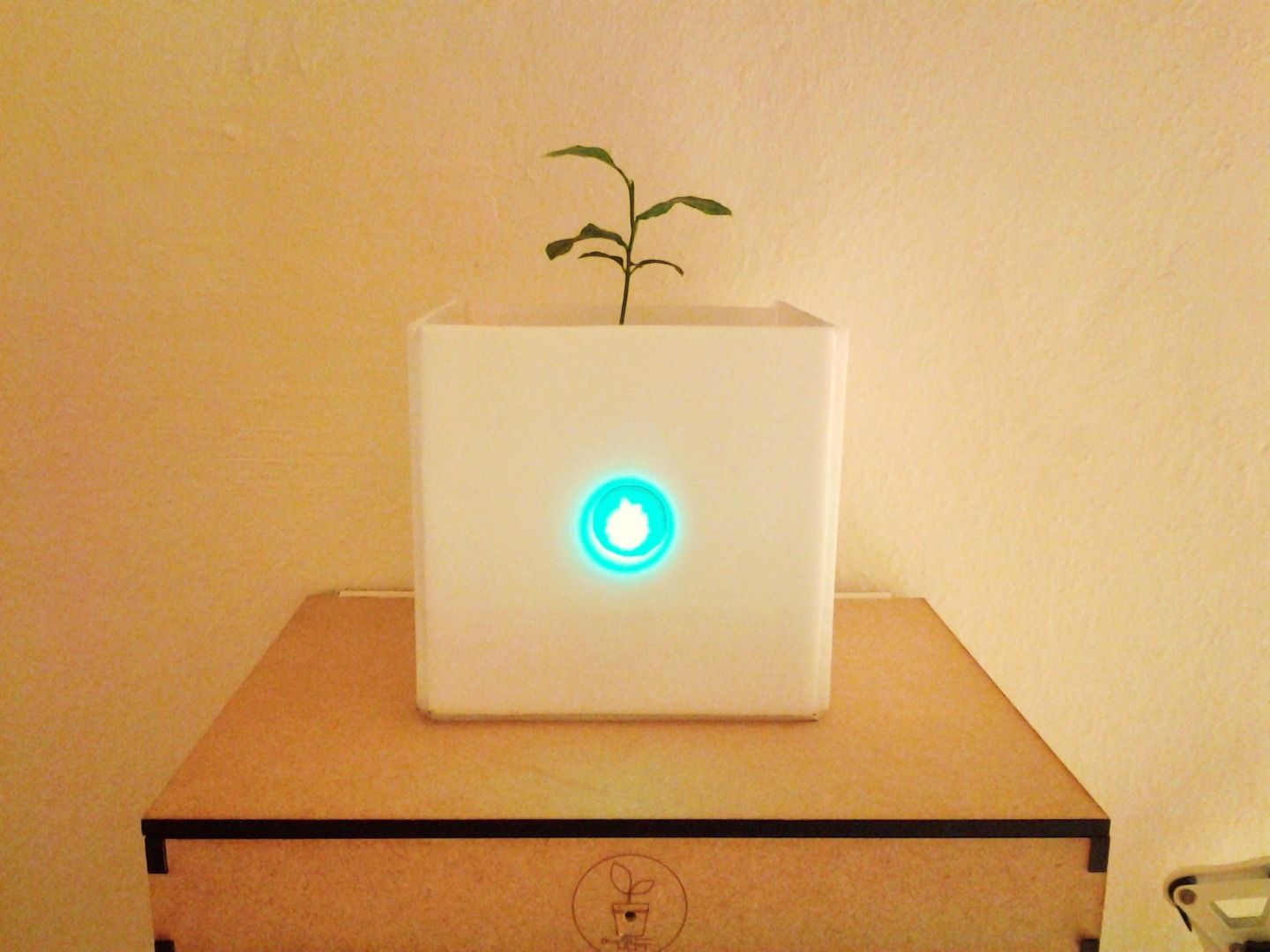 The Plant Pot : 5 Steps (with Pictures) - Instructables