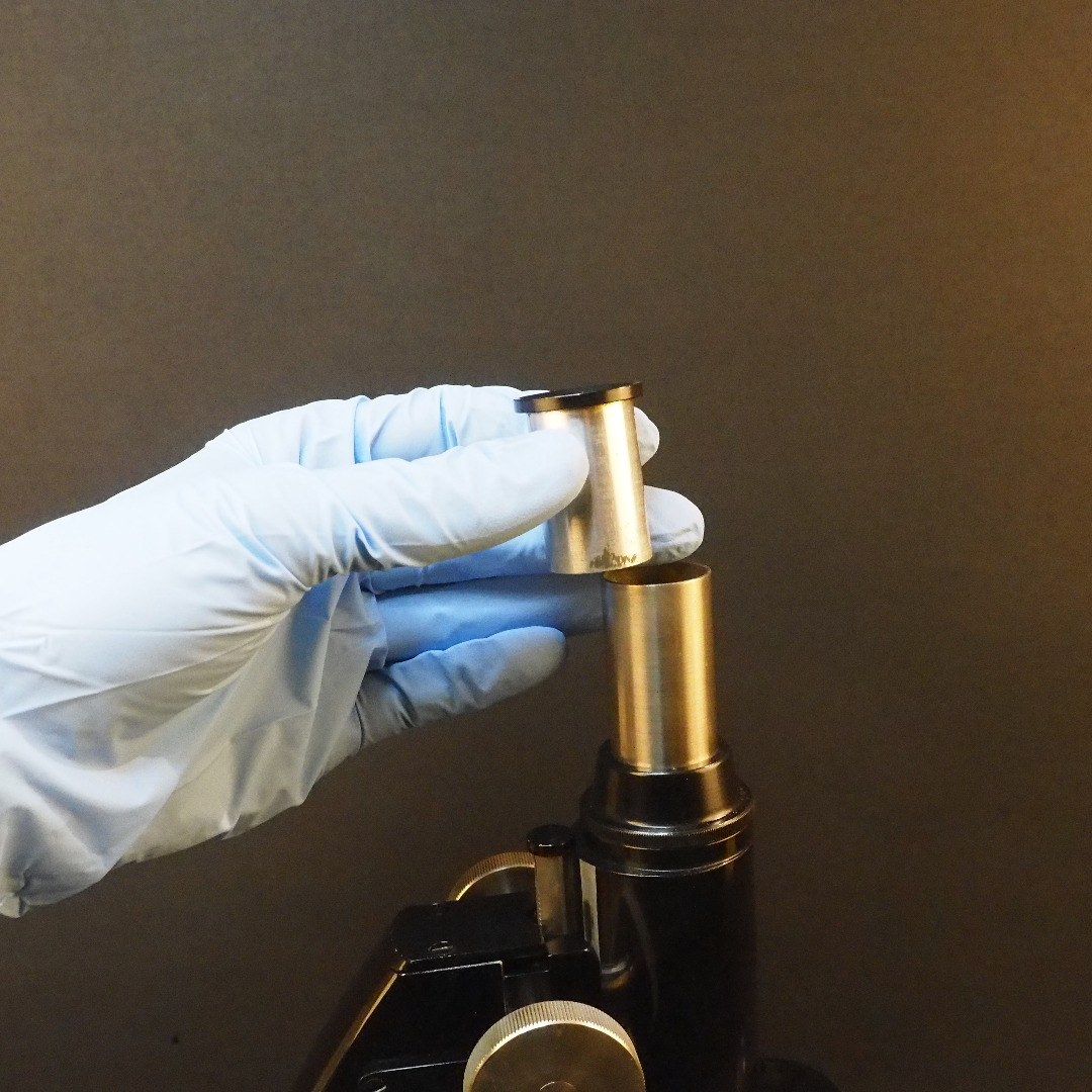 Revive an Old Microscope: Proper Cleaning, New Light Source (with ...