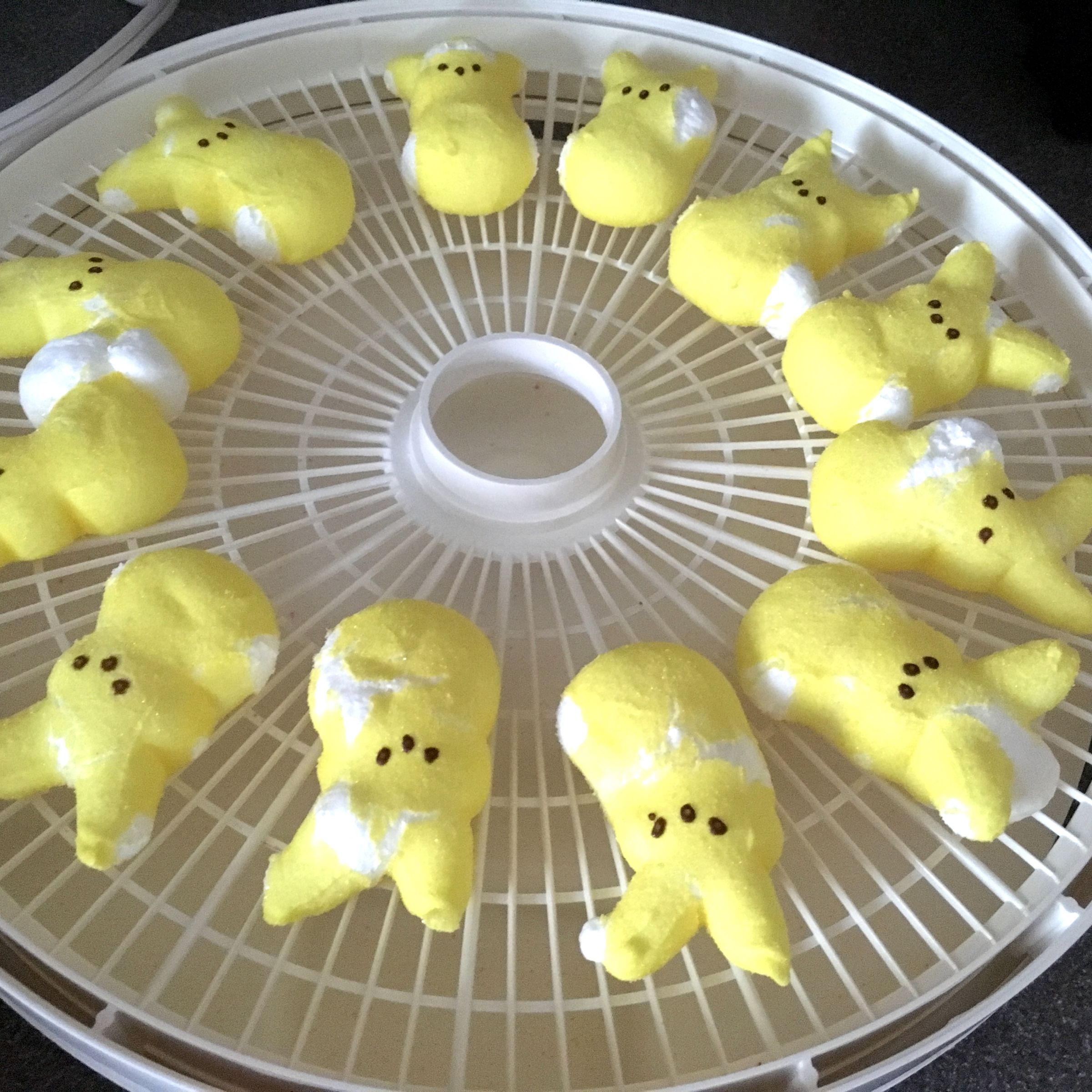 How to Dehydrate Marshmallows : 7 Steps (with Pictures) - Instructables