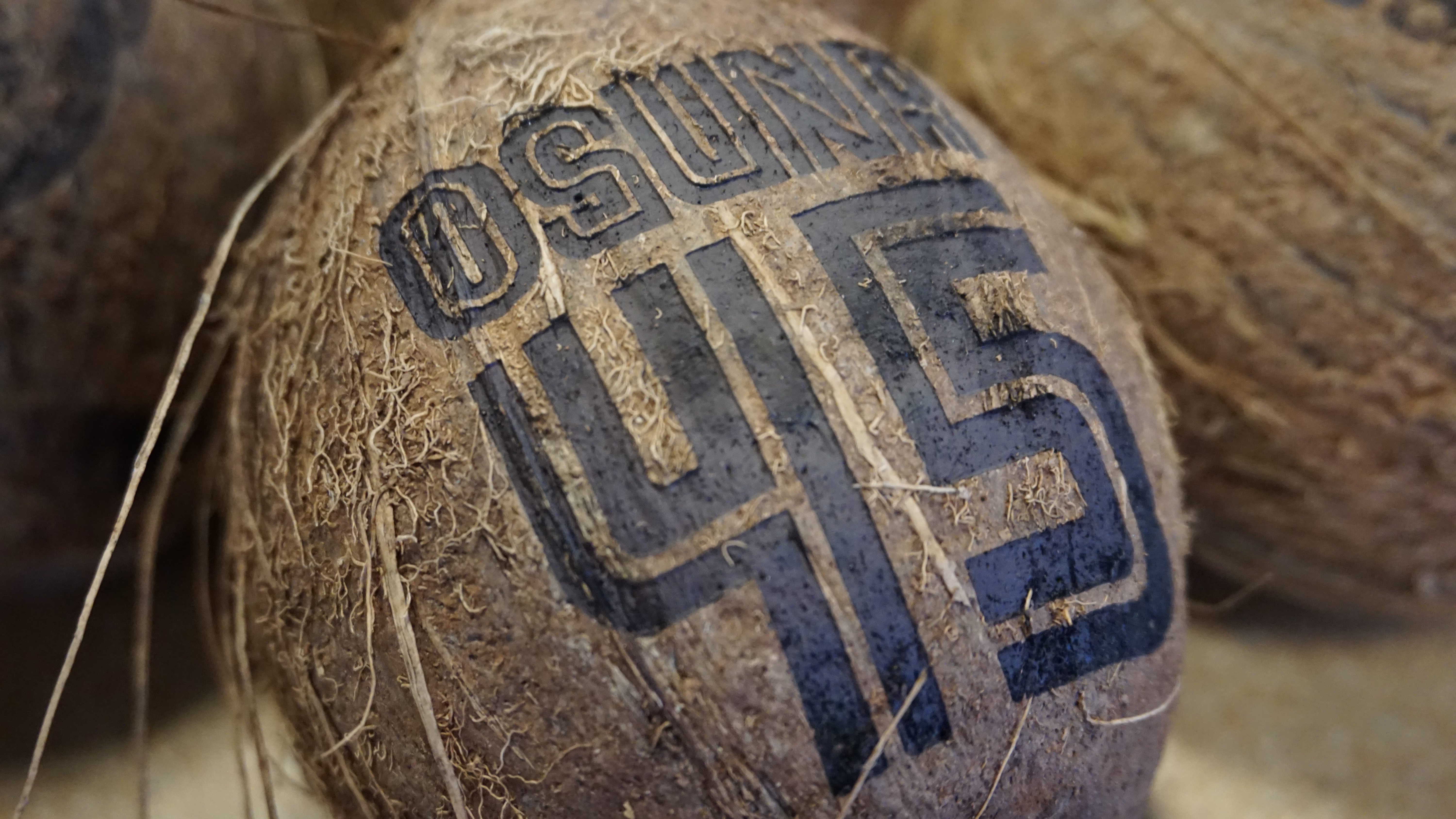 Laser Engraved Coconut Cups & Pina Colada : 4 Steps (with Pictures ...