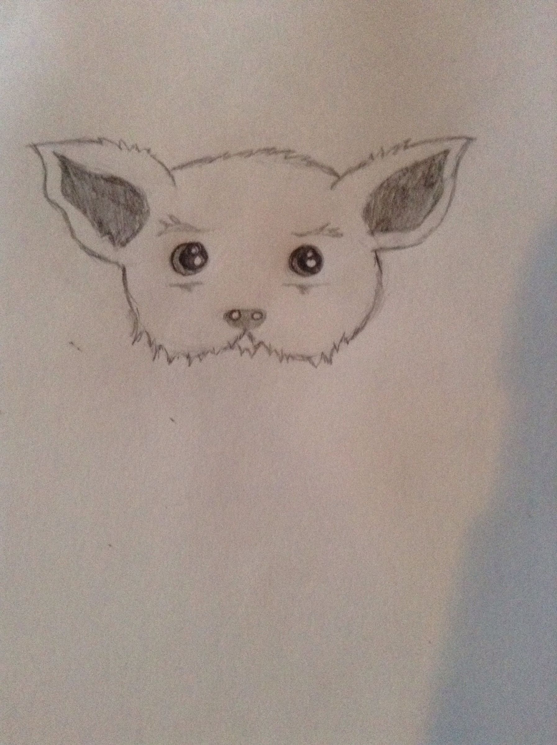 How to Draw an Adorable Dog : 9 Steps - Instructables