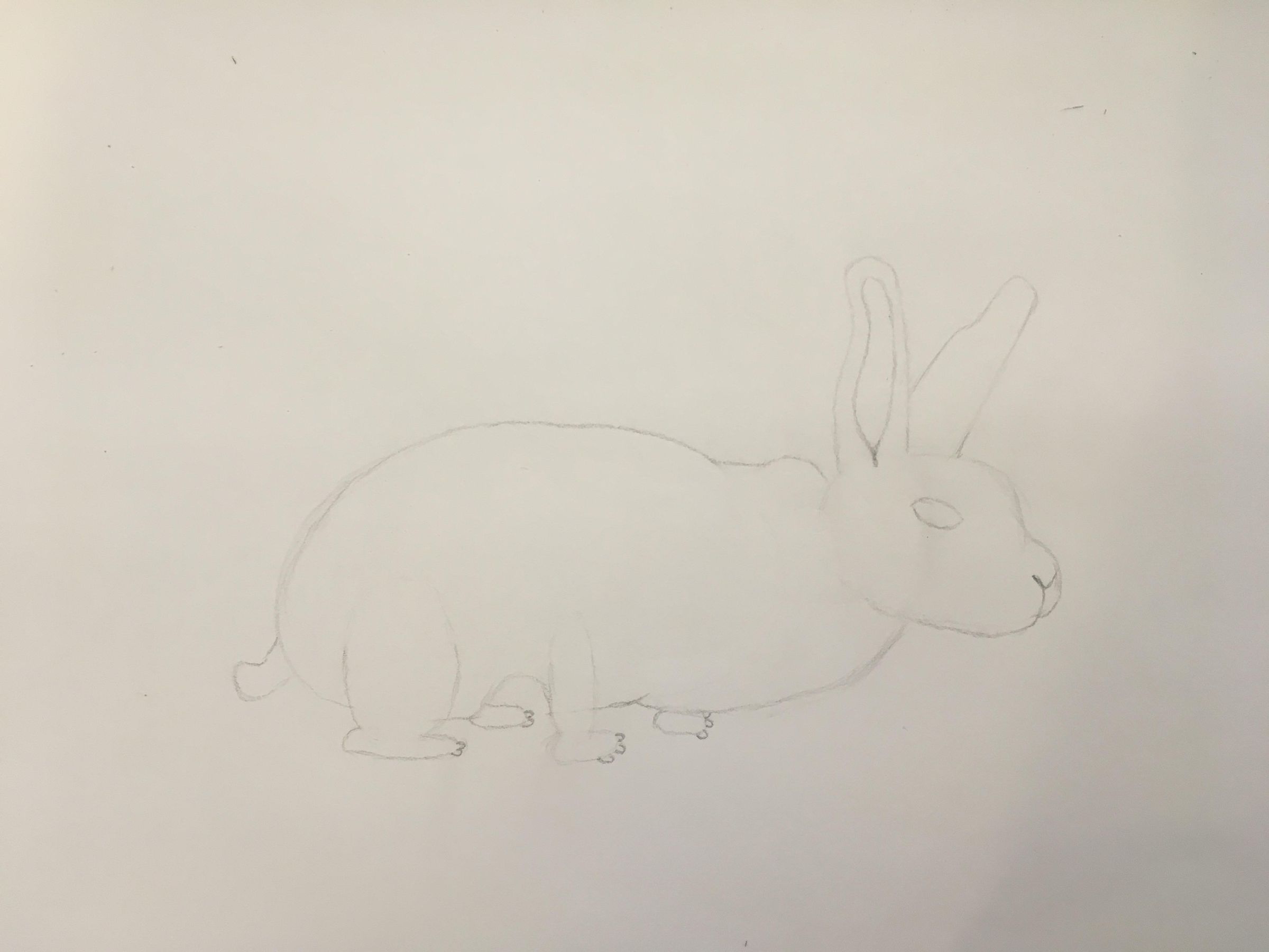 How to Draw a Realistic Bunny (standing) : 26 Steps - Instructables