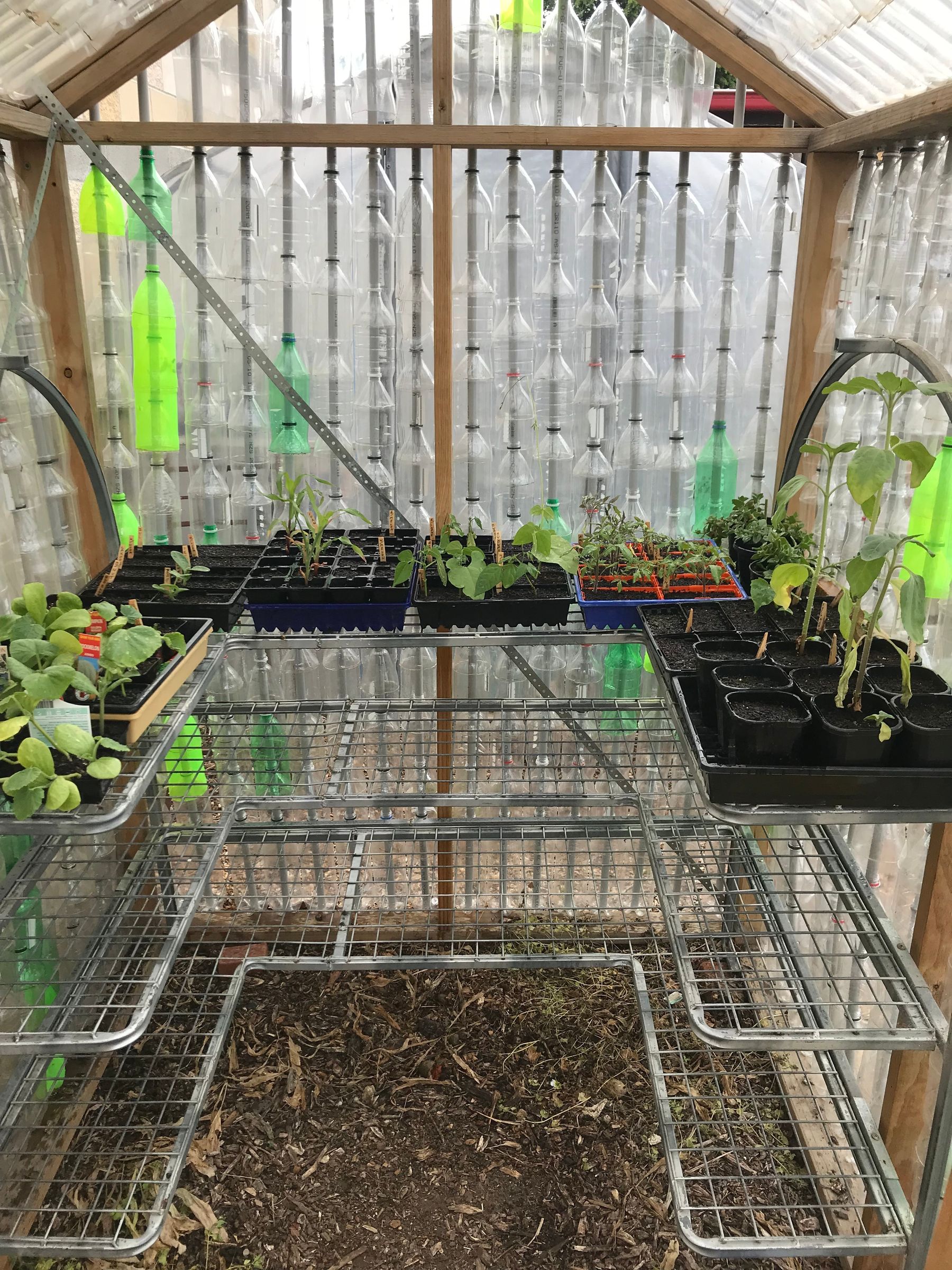 Softdrink Bottle Hothouse : 6 Steps (with Pictures) - Instructables