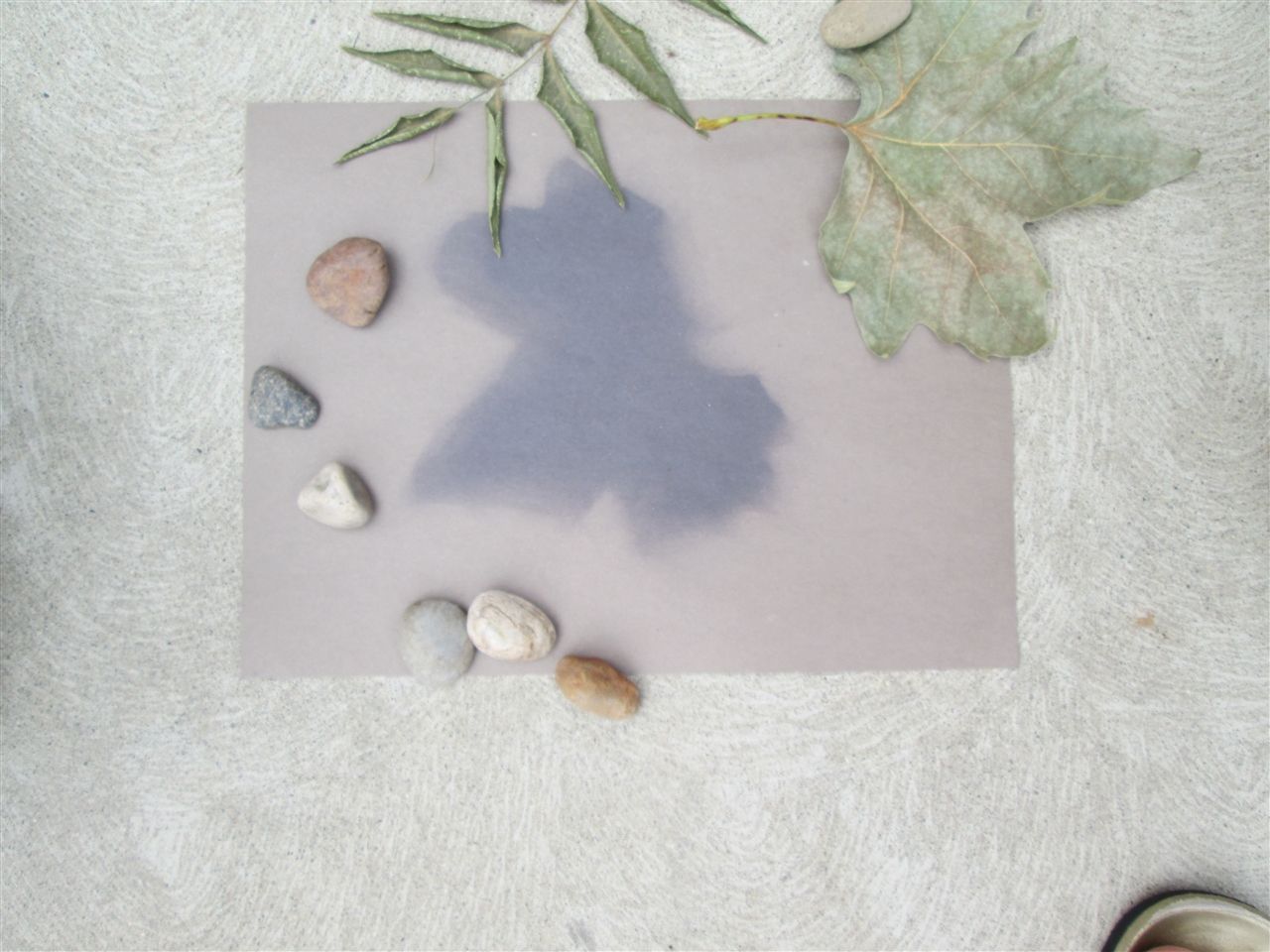 DIY Construction Paper Solar Prints : 6 Steps (with Pictures ...