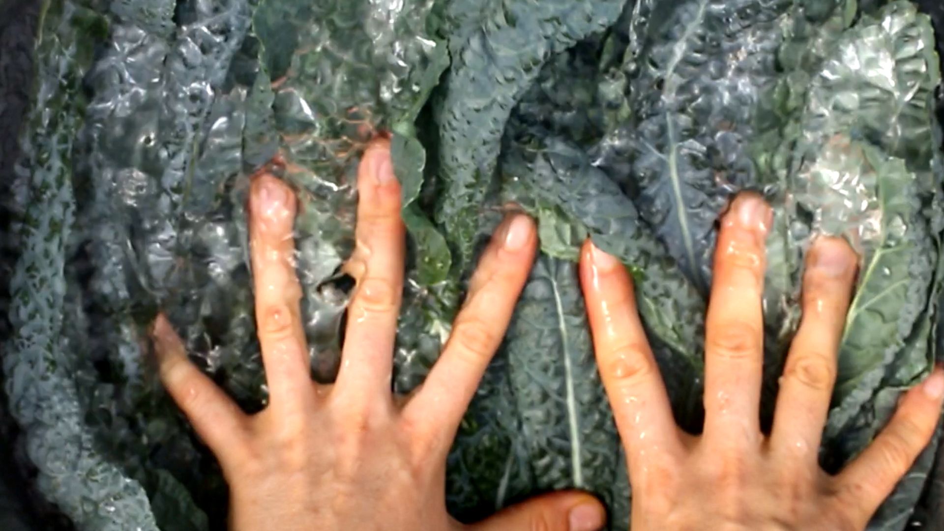 How to Prep Kale : 7 Steps - Instructables