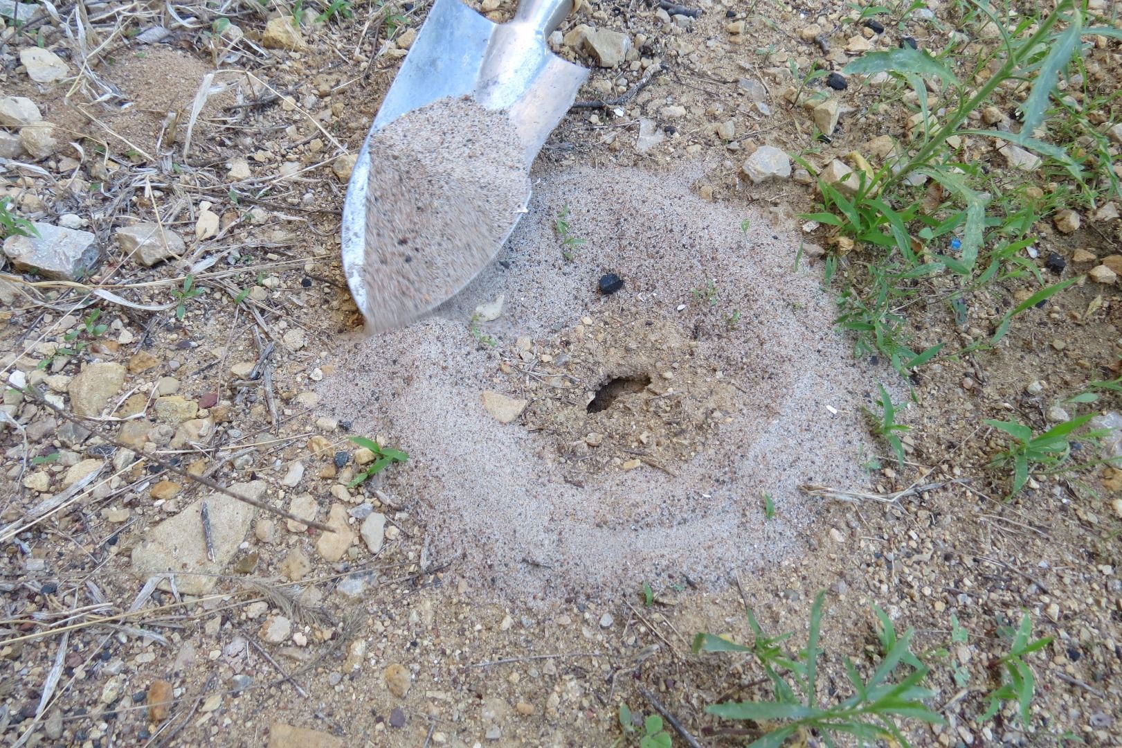 Casting an Aluminum Anthill : 8 Steps (with Pictures) - Instructables