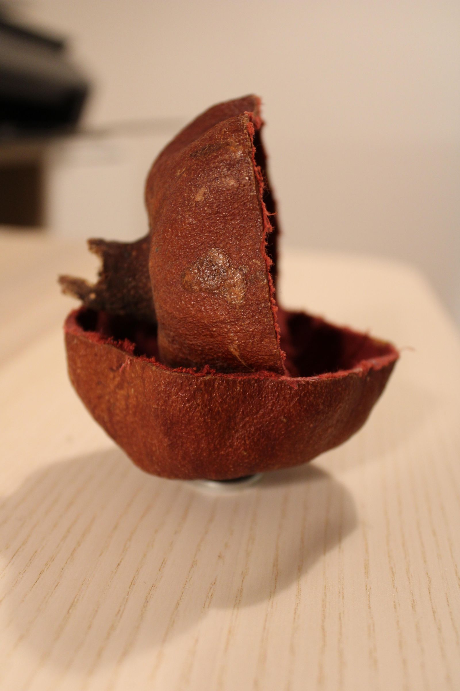 Fruit Boxes (Boxes Made of 100% Rotten Fruit) : 3 Steps (with Pictures ...