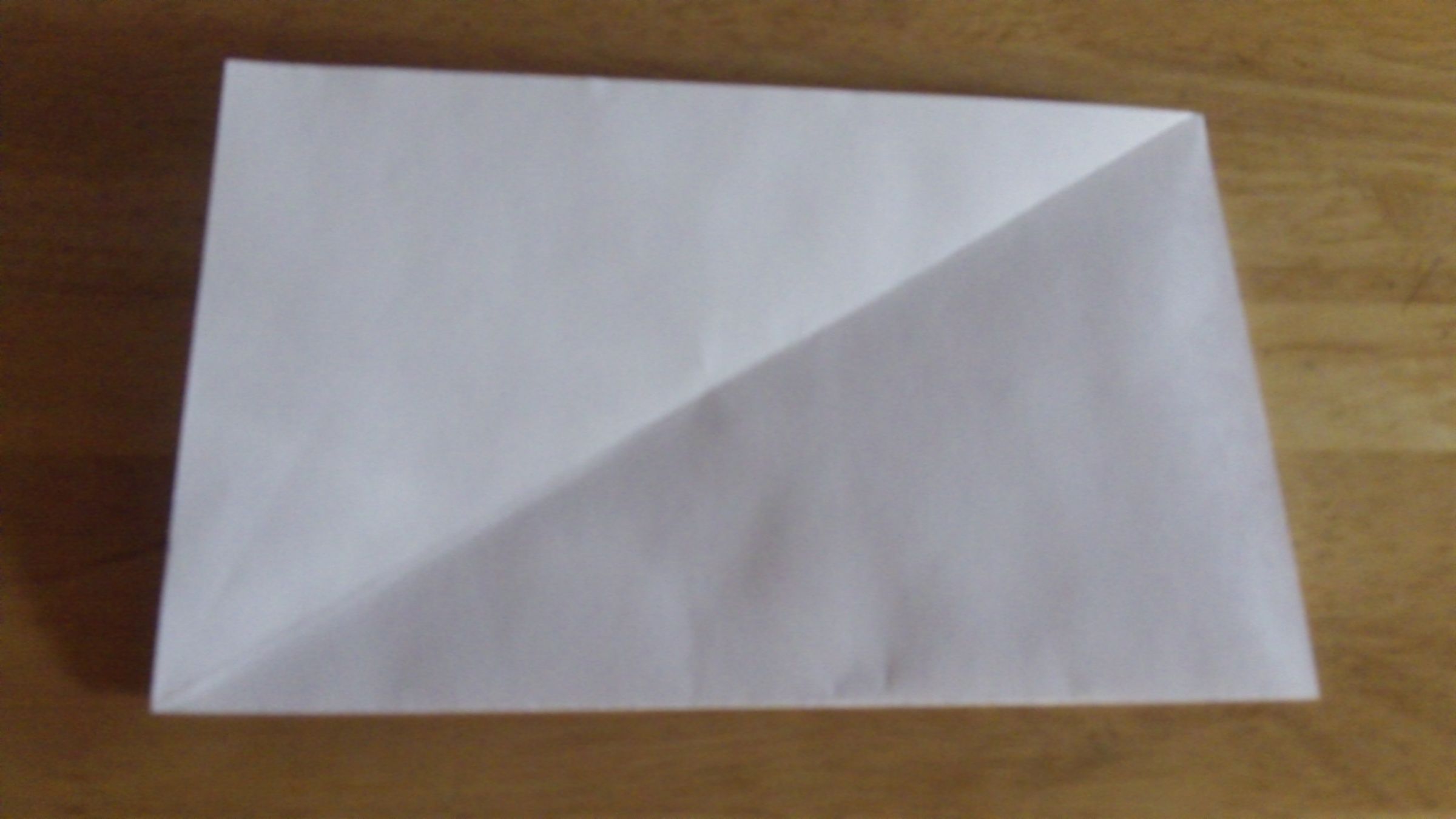 How to Make the Pelican Paper Airplane : 10 Steps - Instructables