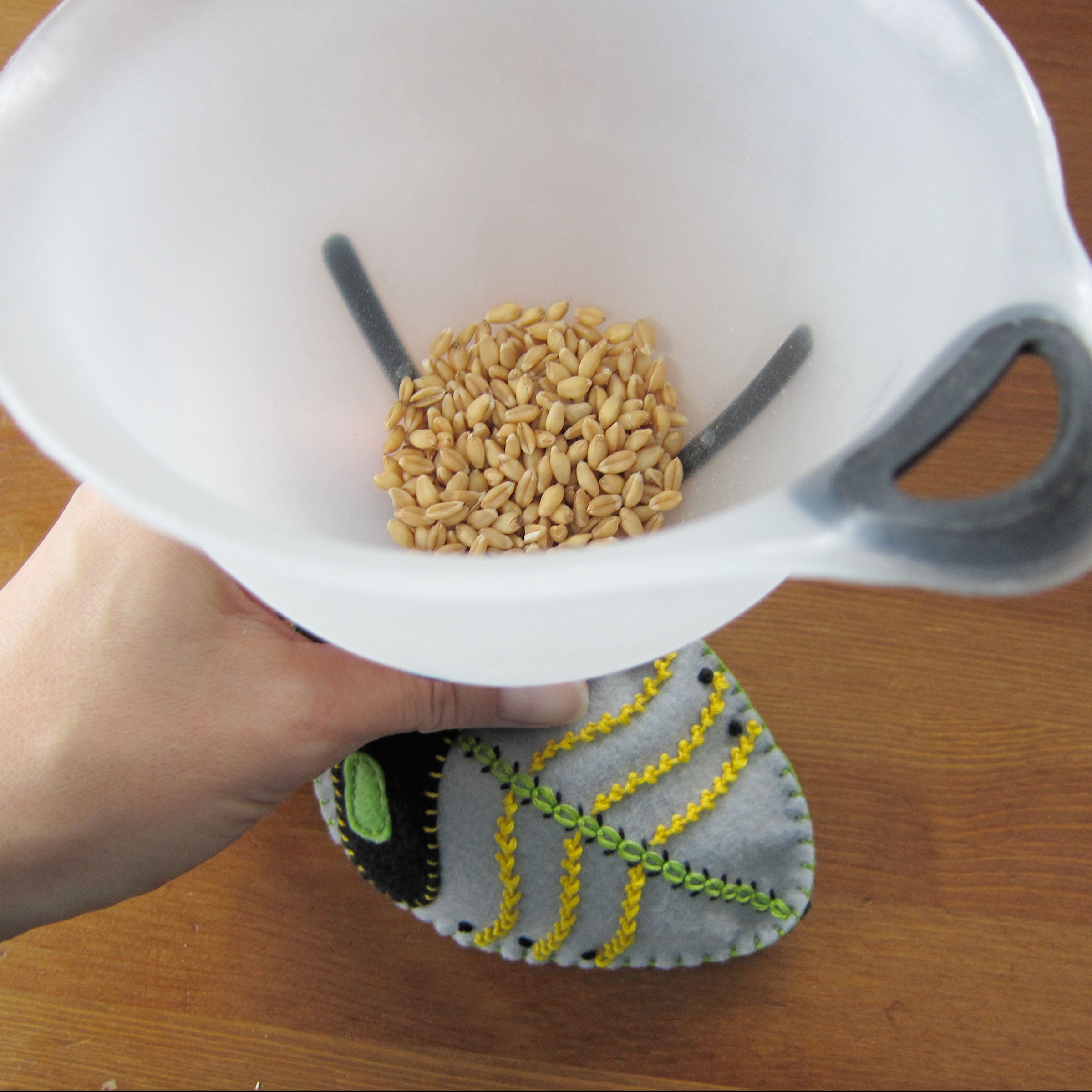 Bed Bug Bean Bags : 9 Steps (with Pictures) - Instructables