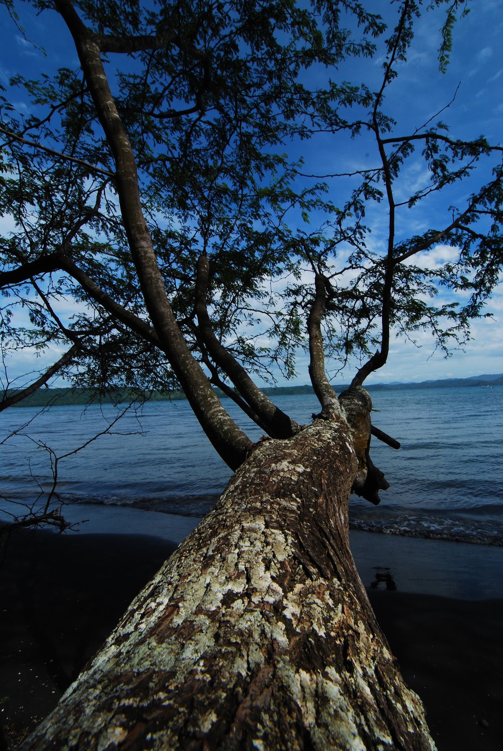 How to Take Great Ultra-Wide Shots : 6 Steps - Instructables