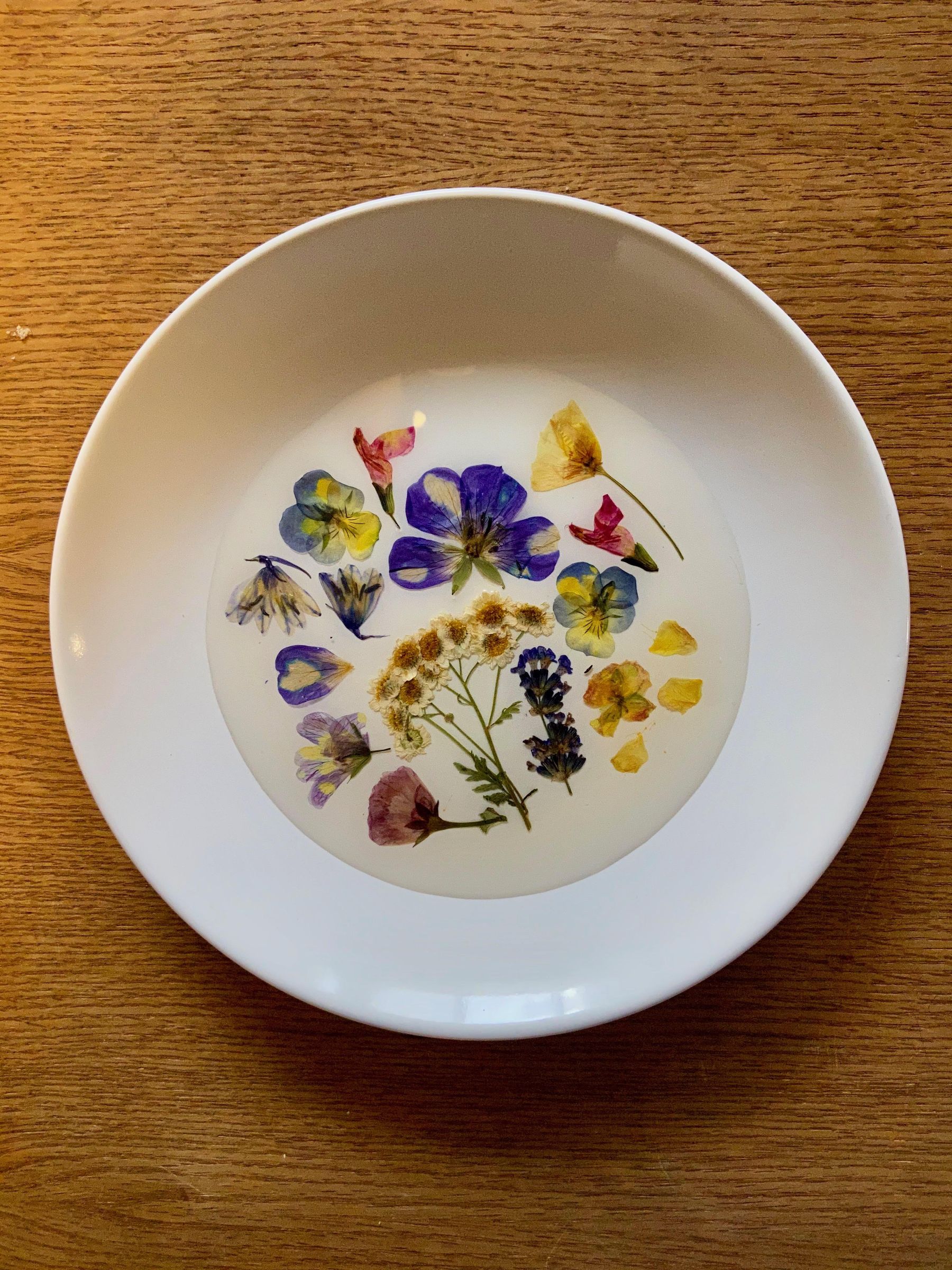 Pressed Flower Plates : 7 Steps (with Pictures) - Instructables