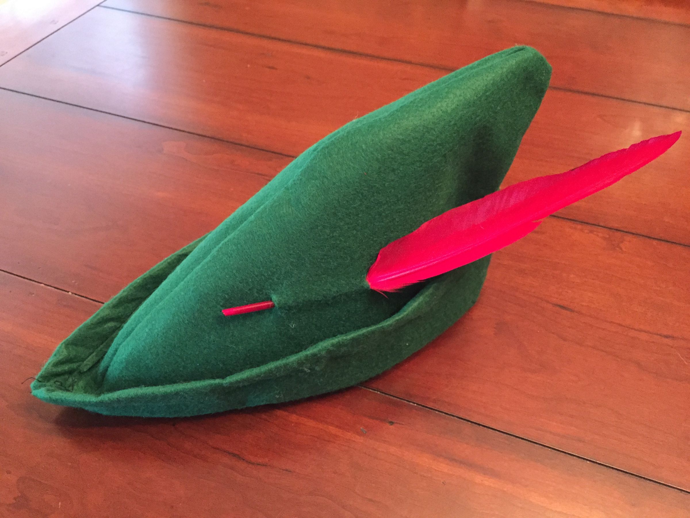 How to Make a Robin Hood Hat : 7 Steps (with Pictures) - Instructables