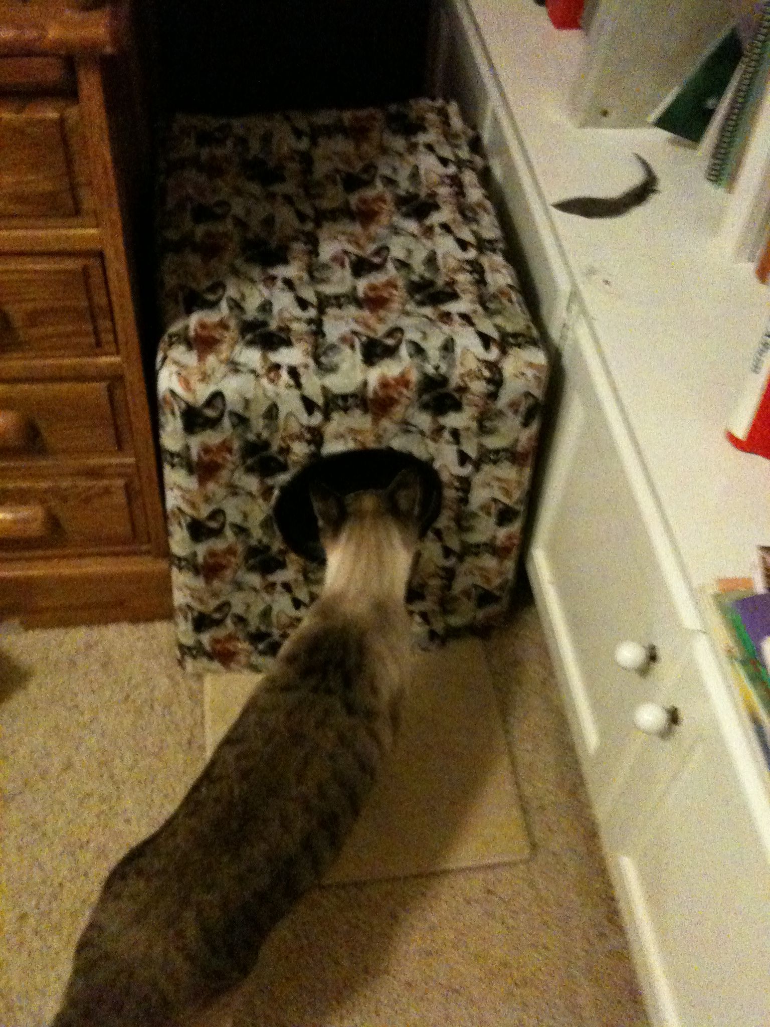 Fun and Functional Cat Litter Box Cover : 7 Steps - Instructables