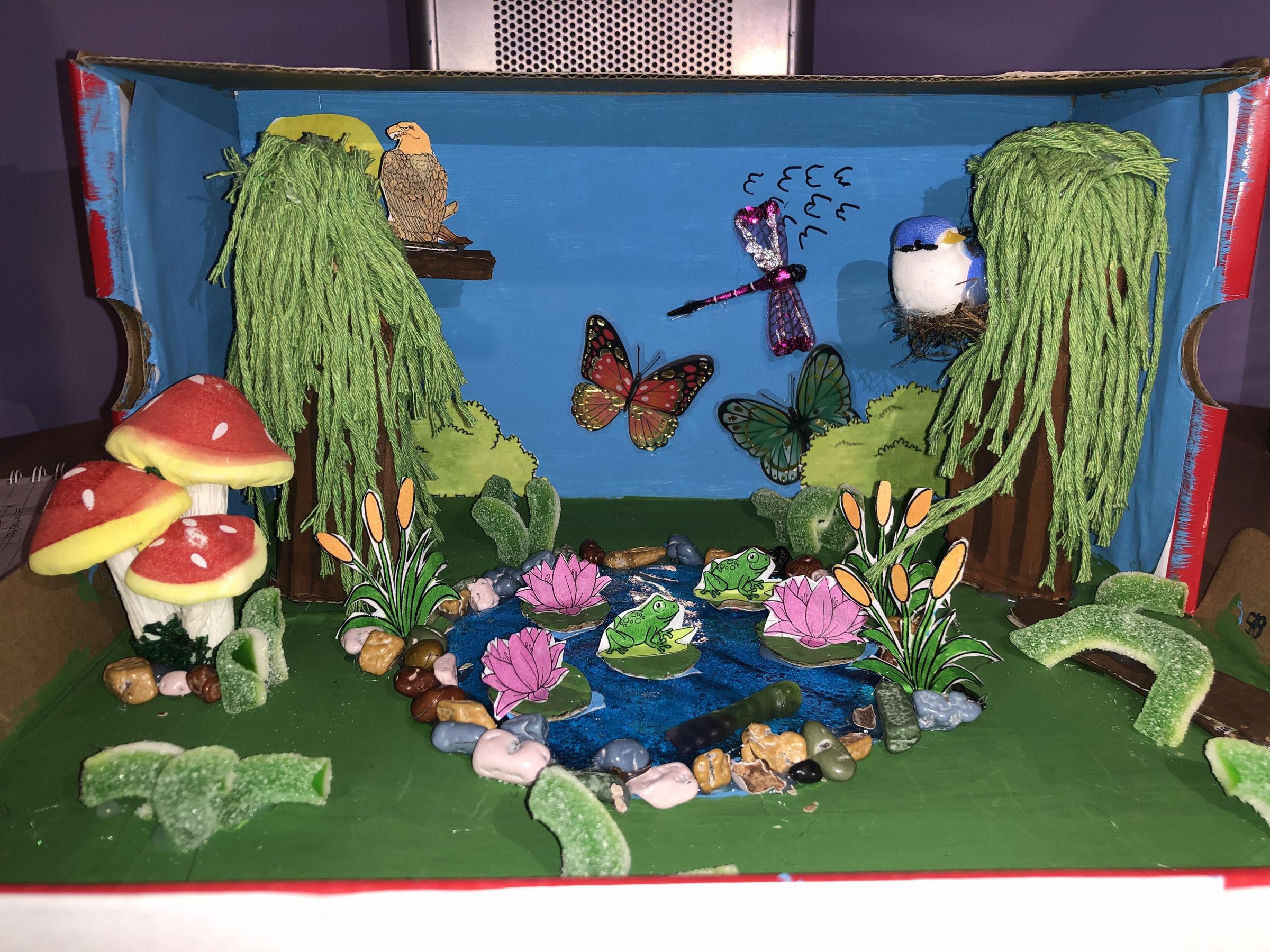 Freshwater Pond Ecosystem Model With Candy! : 8 Steps - Instructables