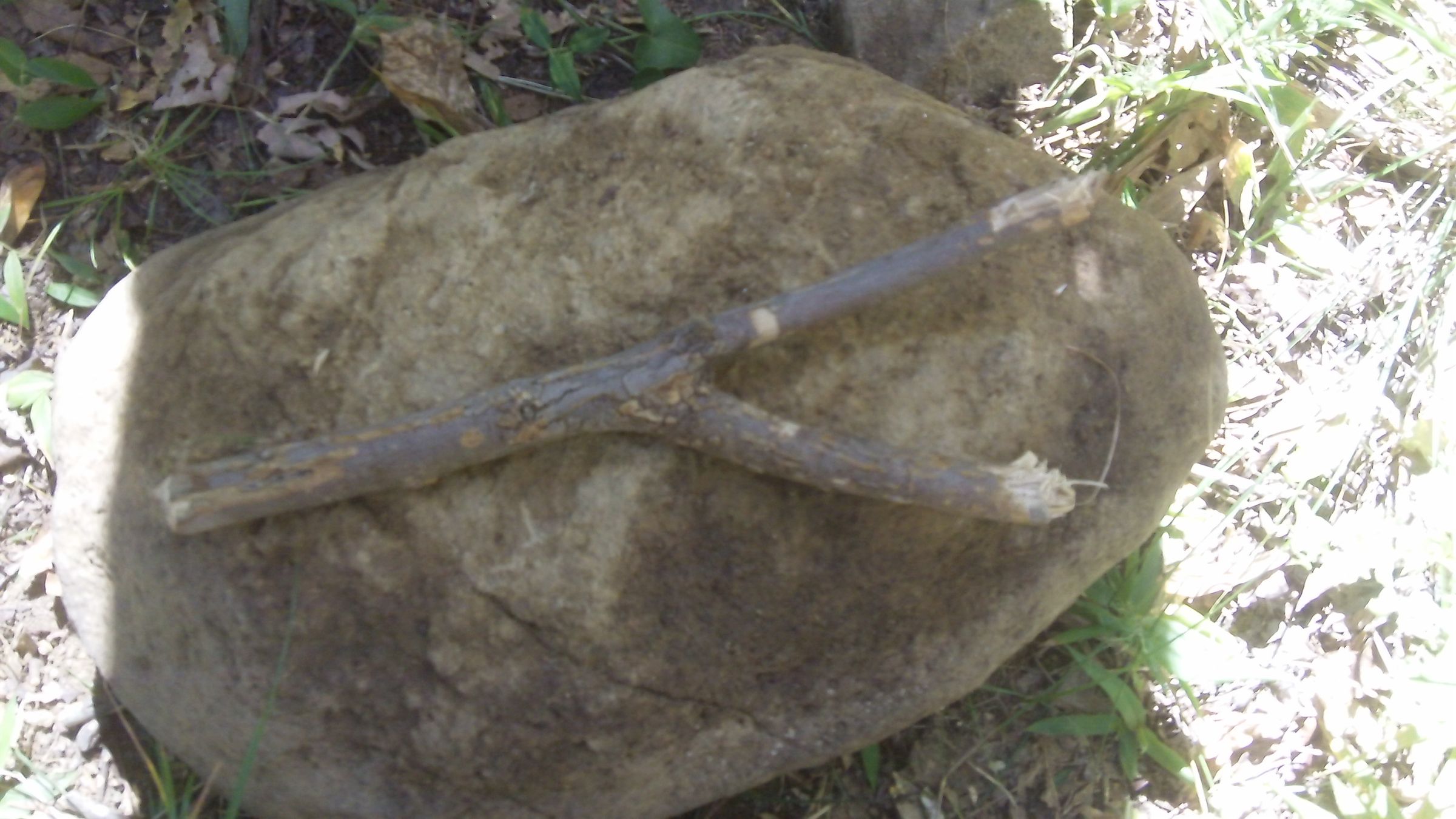 Paiute Deadfall Trap : 6 Steps - Instructables