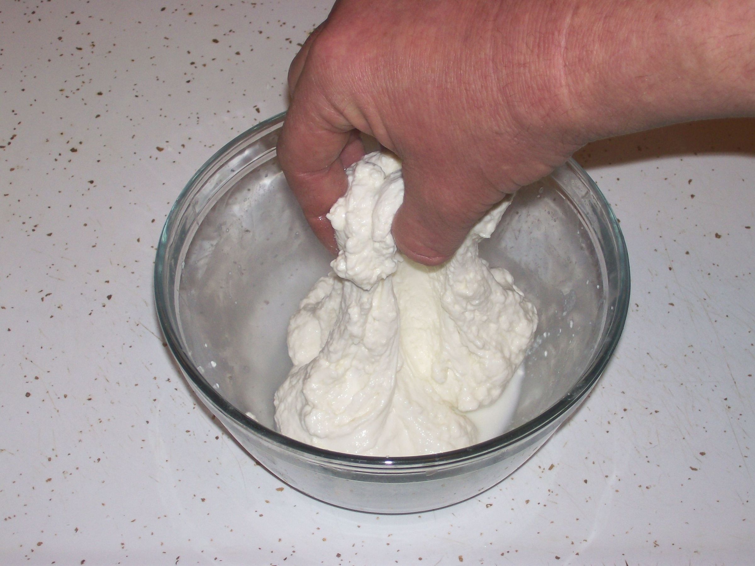 How to Make Great Fresh Mozzarella Cheese : 19 Steps (with Pictures ...