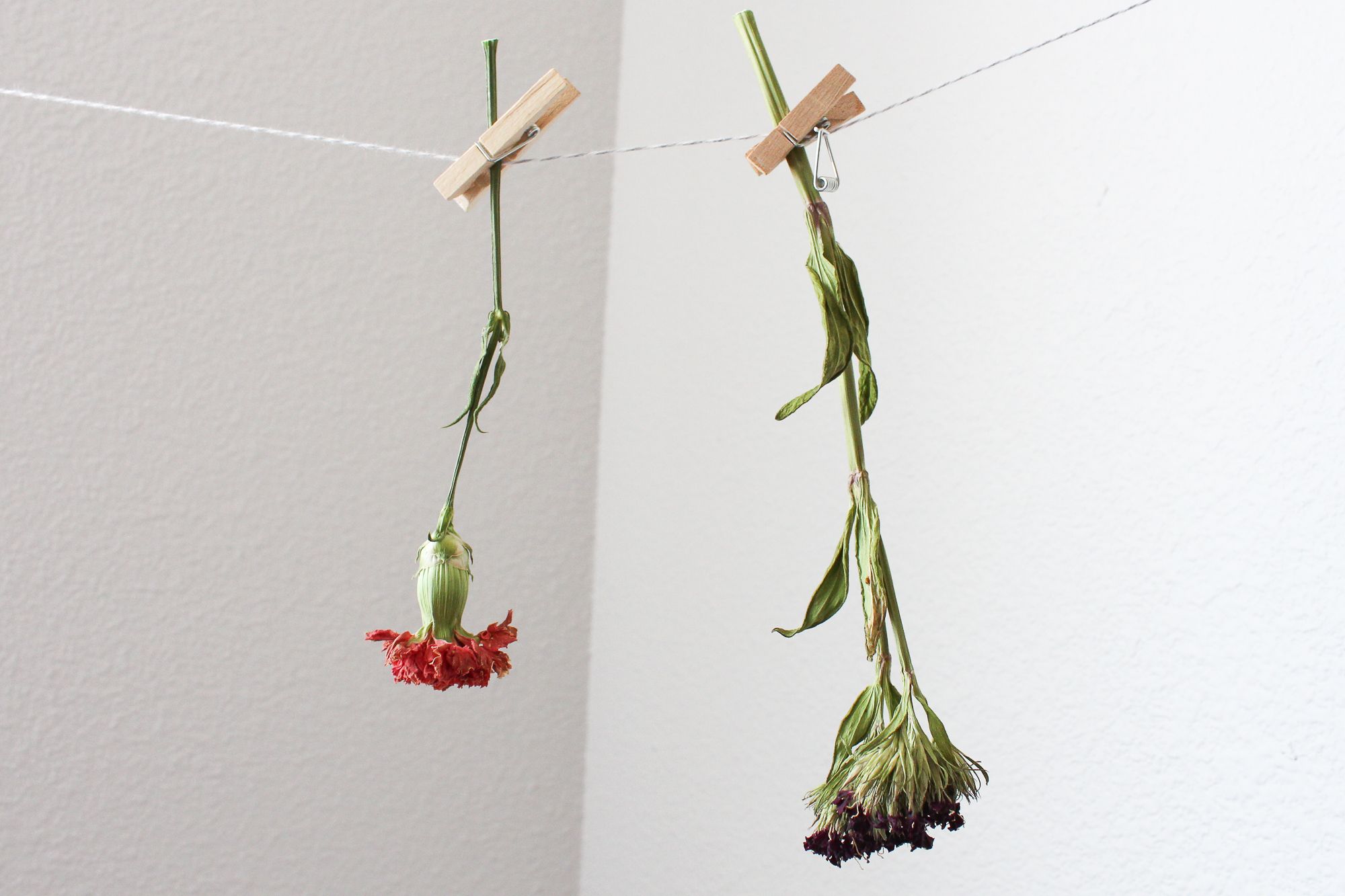 How to Press and Dry Flowers (and Leaves!) : 8 Steps (with Pictures ...