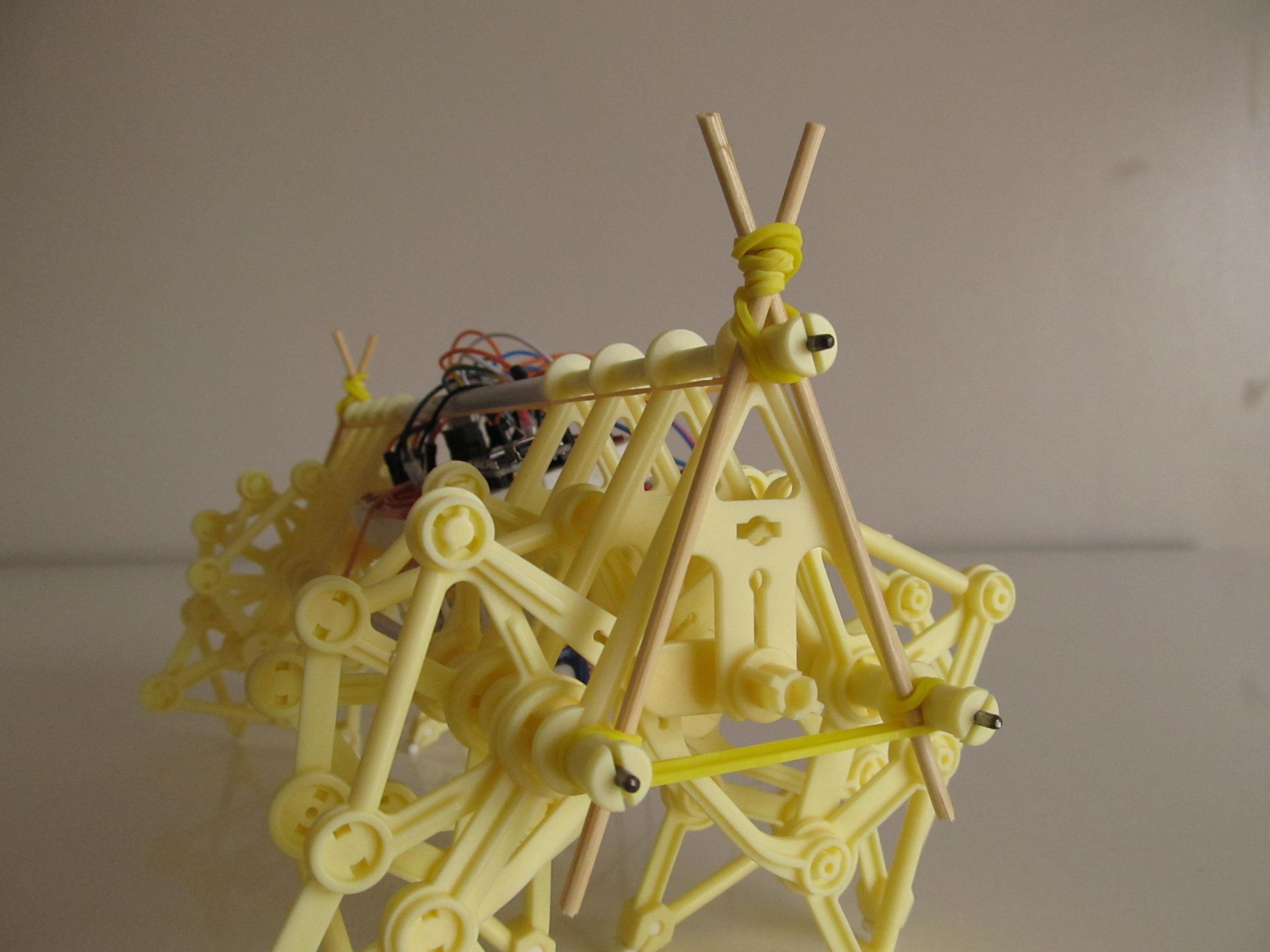 Training Theo Jansen's Mini STRANDBEEST : 11 Steps (with Pictures ...