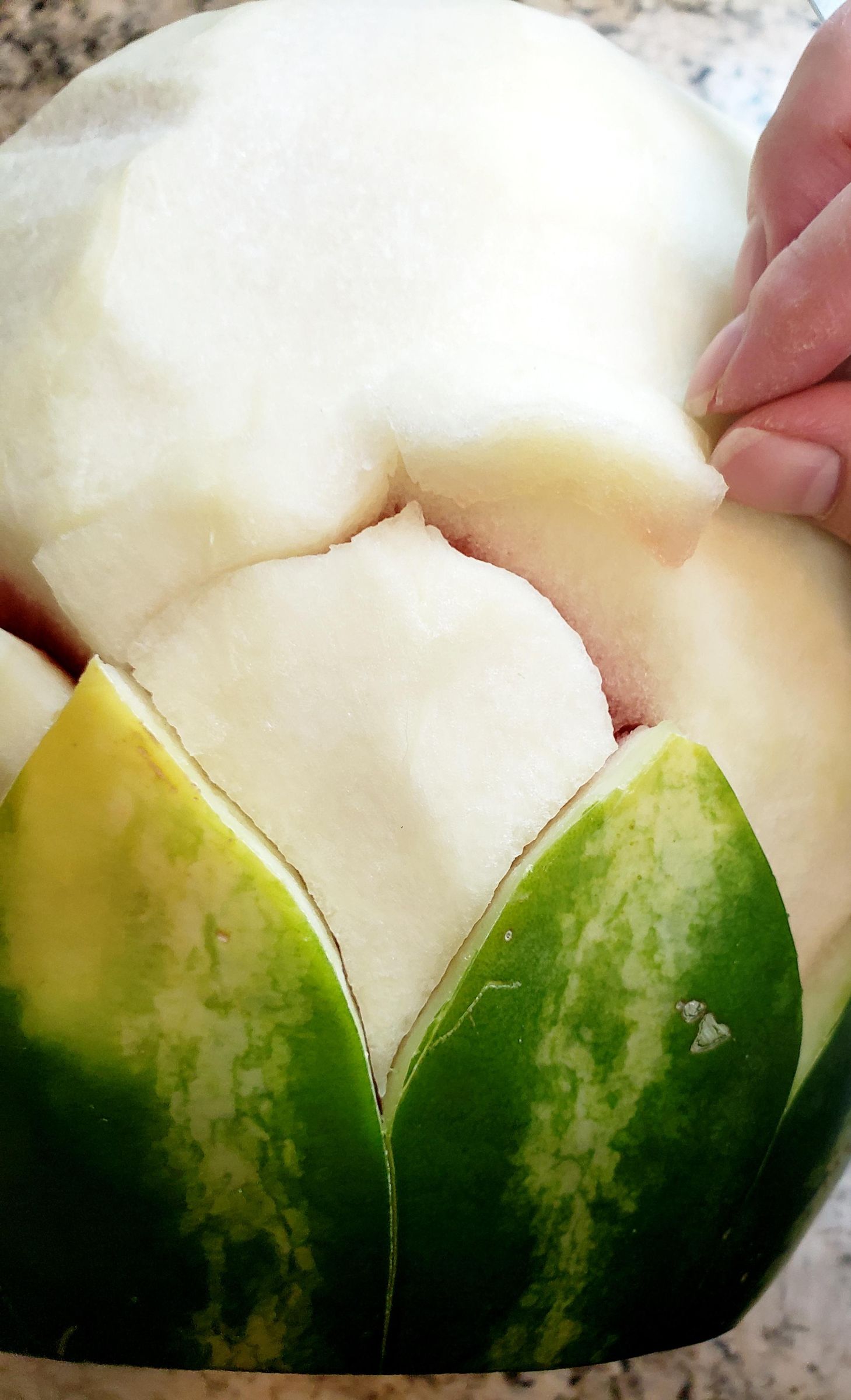 Watermelon Lotus Flower Carving! : 17 Steps (with Pictures) - Instructables