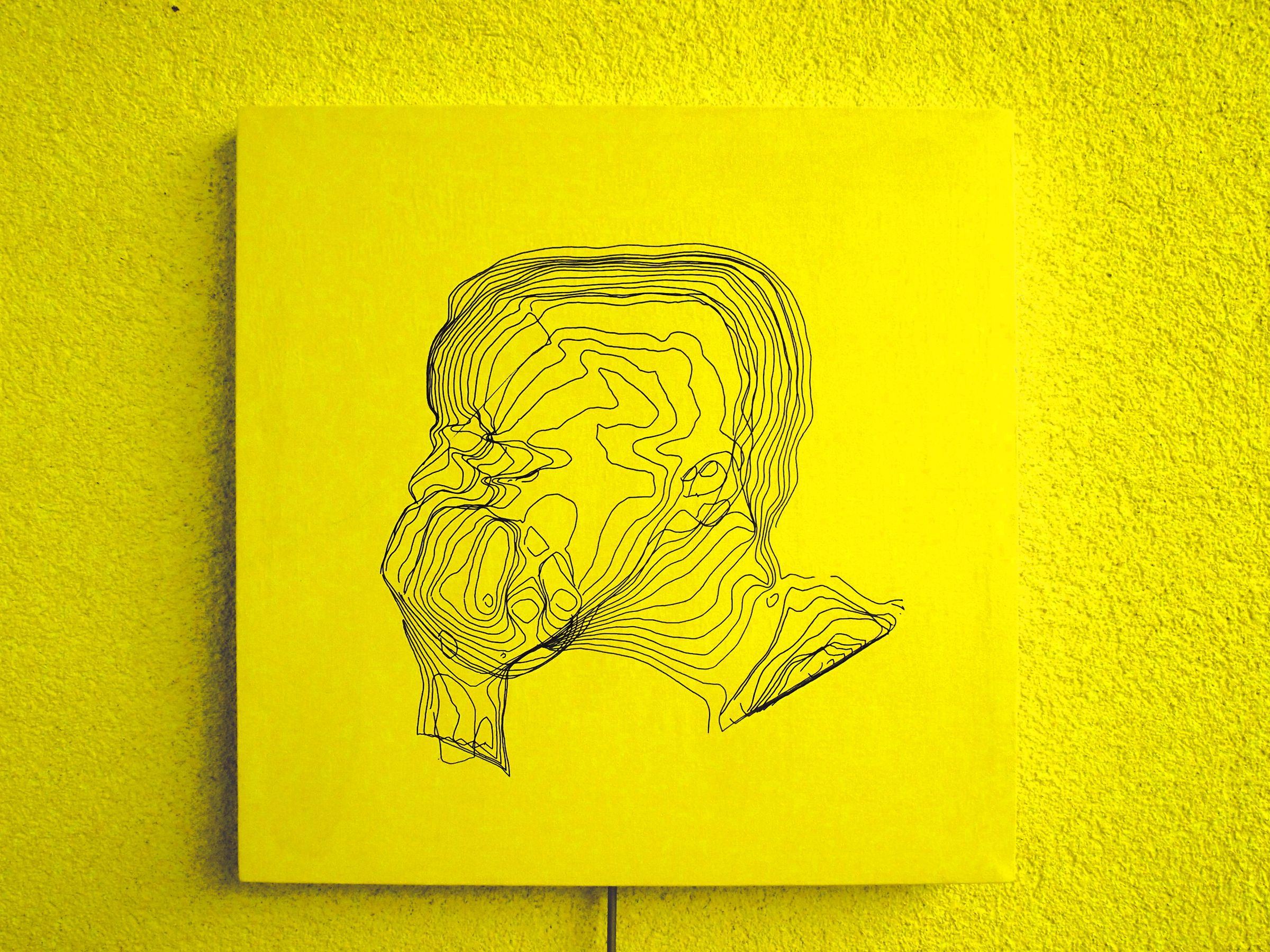 Face 3D Art : 5 Steps (with Pictures) - Instructables