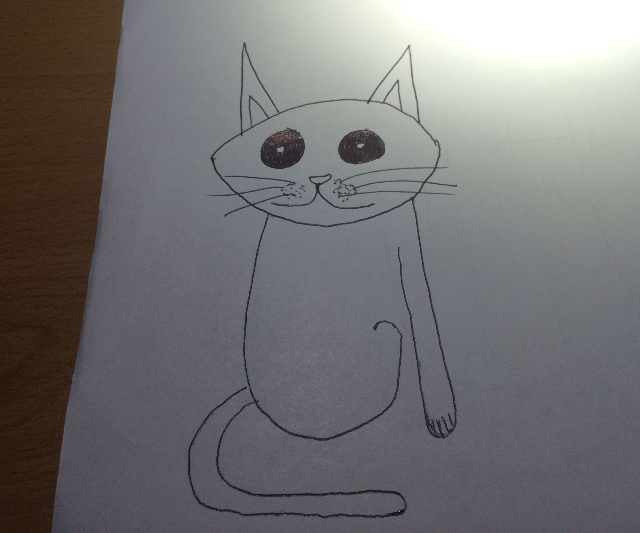 How to Draw a Simple Cartoon Cat : 12 Steps - Instructables