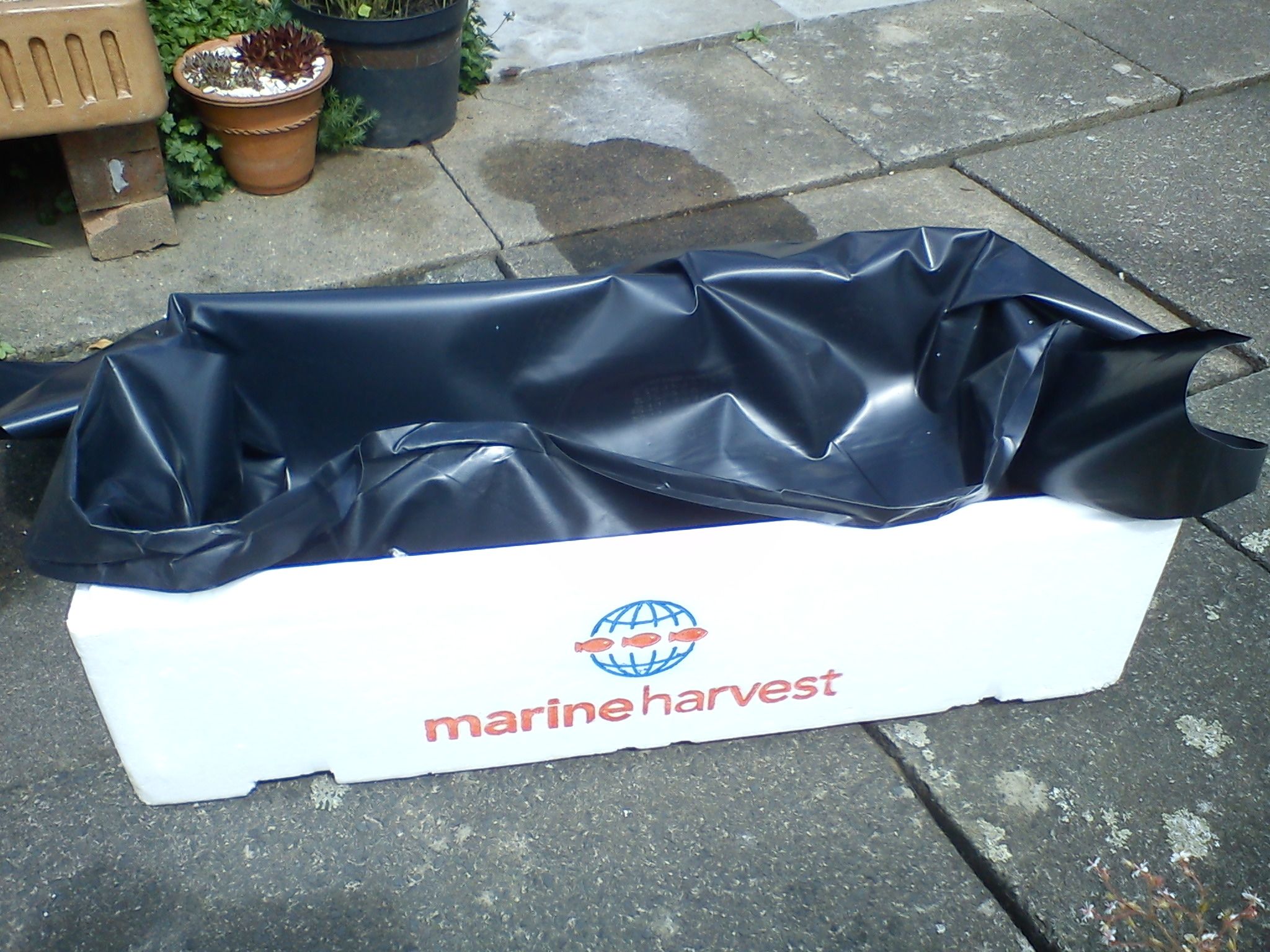 Recycled Fish Box Cooler / Cool Box : 3 Steps (with Pictures ...