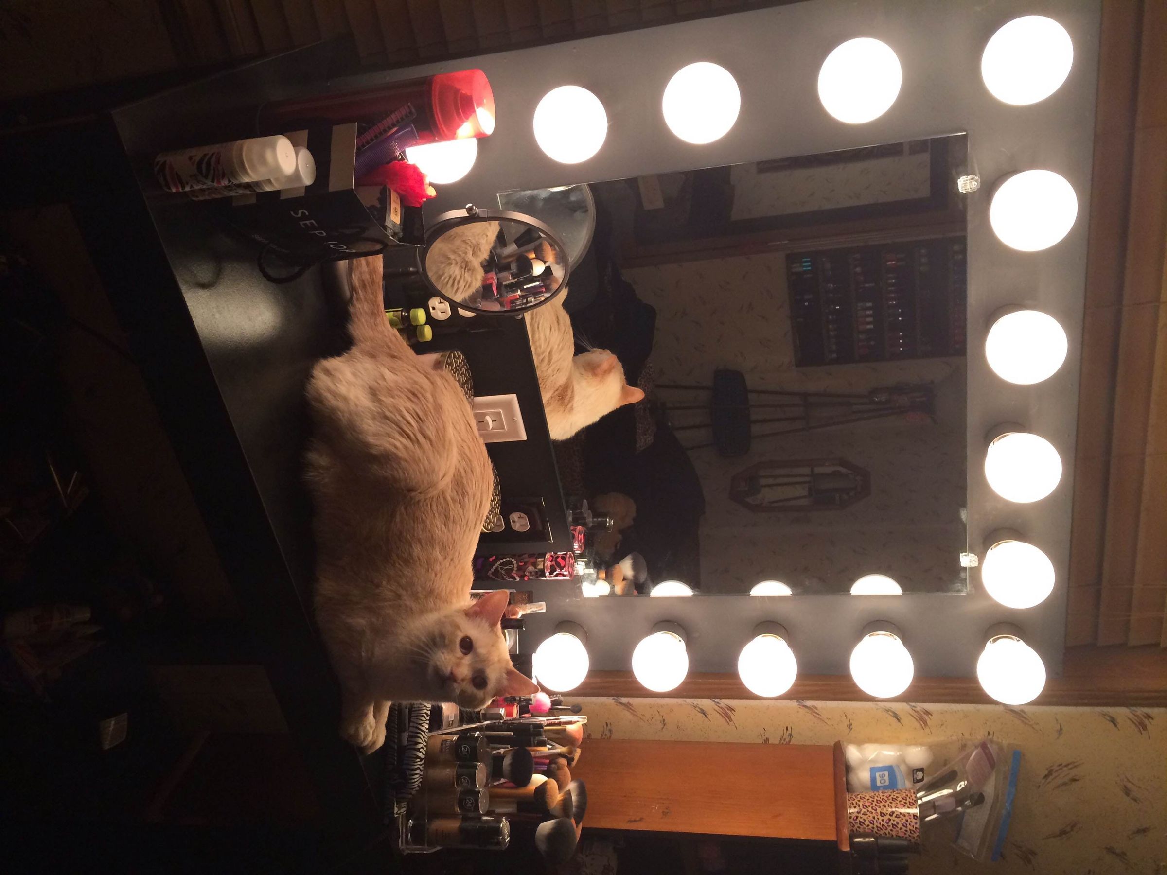 Vanity Mirror With Lights : 9 Steps - Instructables