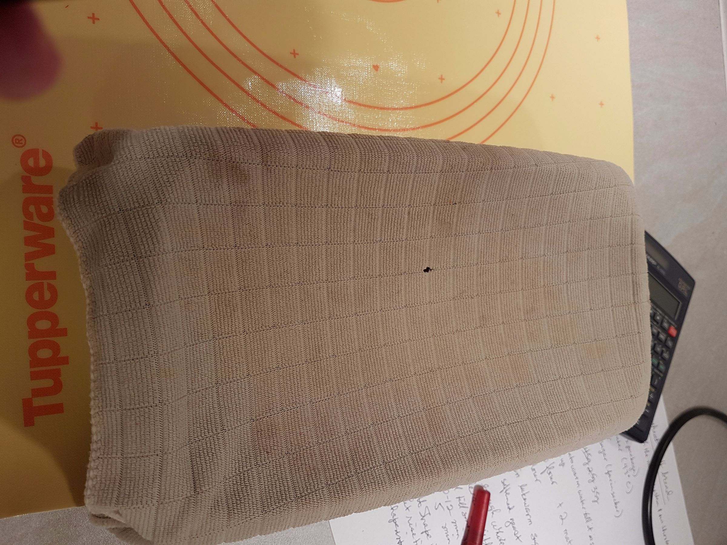 Teff Bread in Metric : 5 Steps (with Pictures) - Instructables