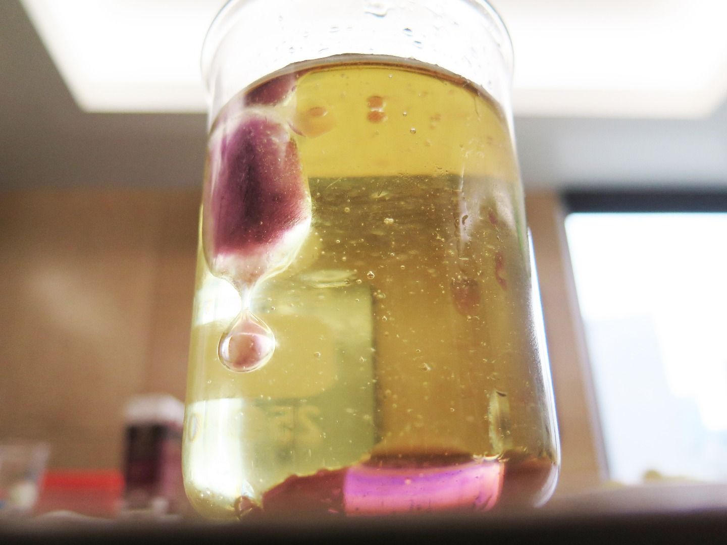 Oil and Ice Density Experiment : 4 Steps (with Pictures) - Instructables