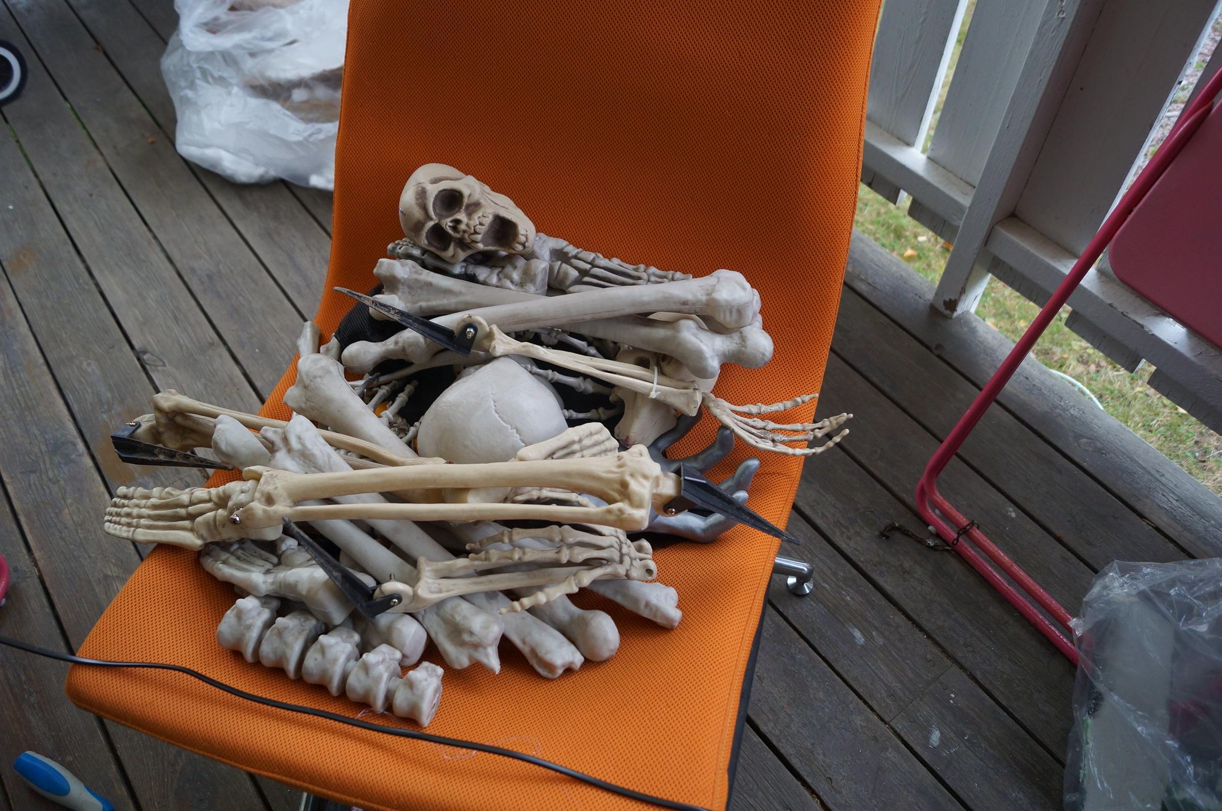 Caged Skeleton : 8 Steps (with Pictures) - Instructables