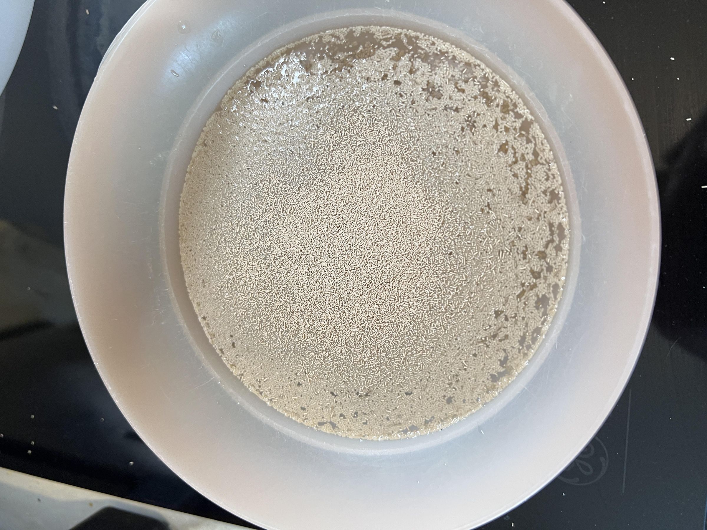 2000 Year Old Roman Flatbread With Herbal Ricotta and Olive Dip : 17 ...