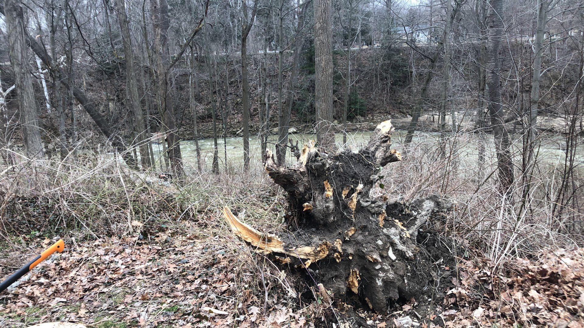 Log Path Cut Into a Hill : 5 Steps (with Pictures) - Instructables