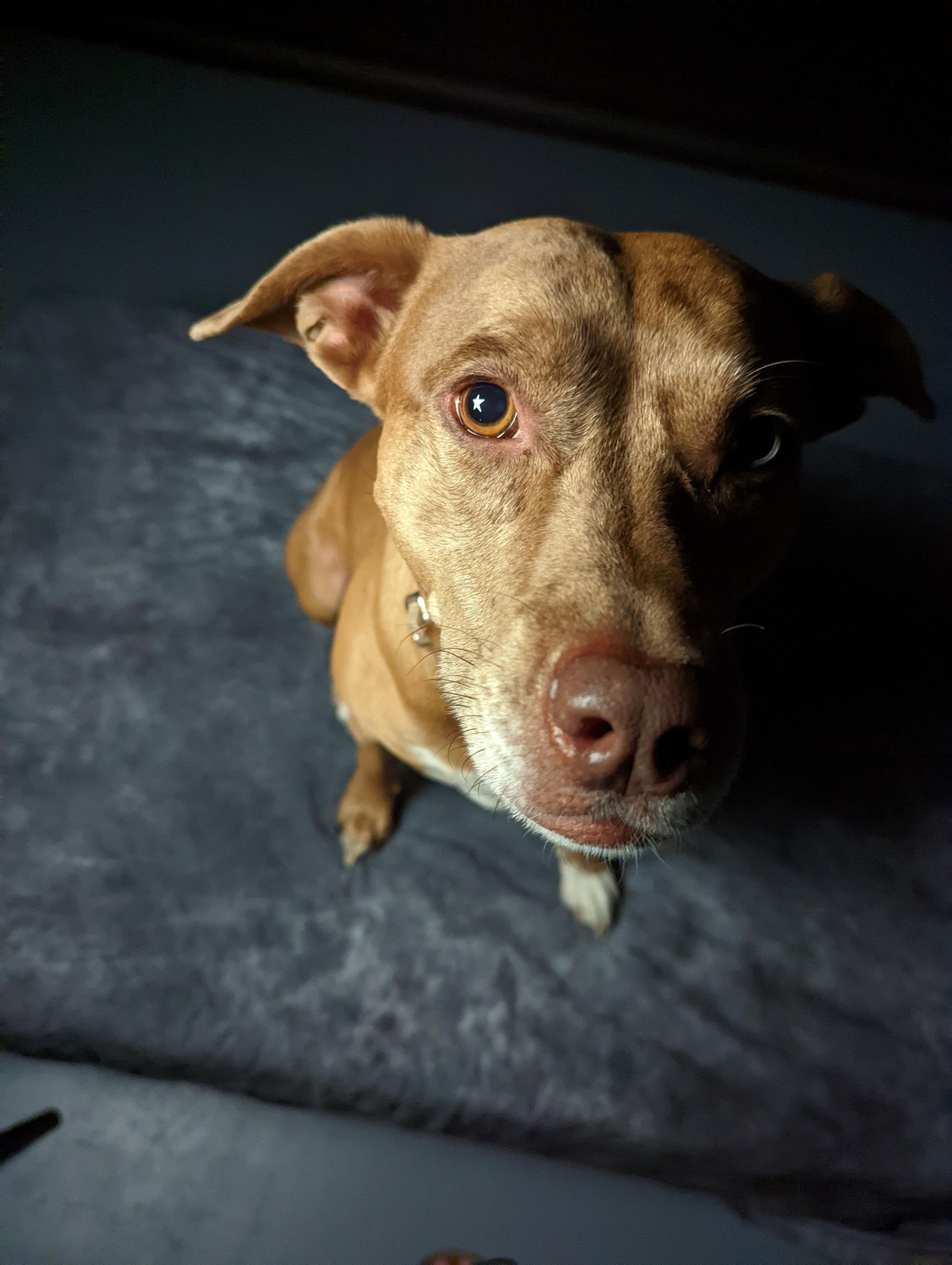 Changing the Shape of Catch Lights in Photography : 7 Steps (with ...