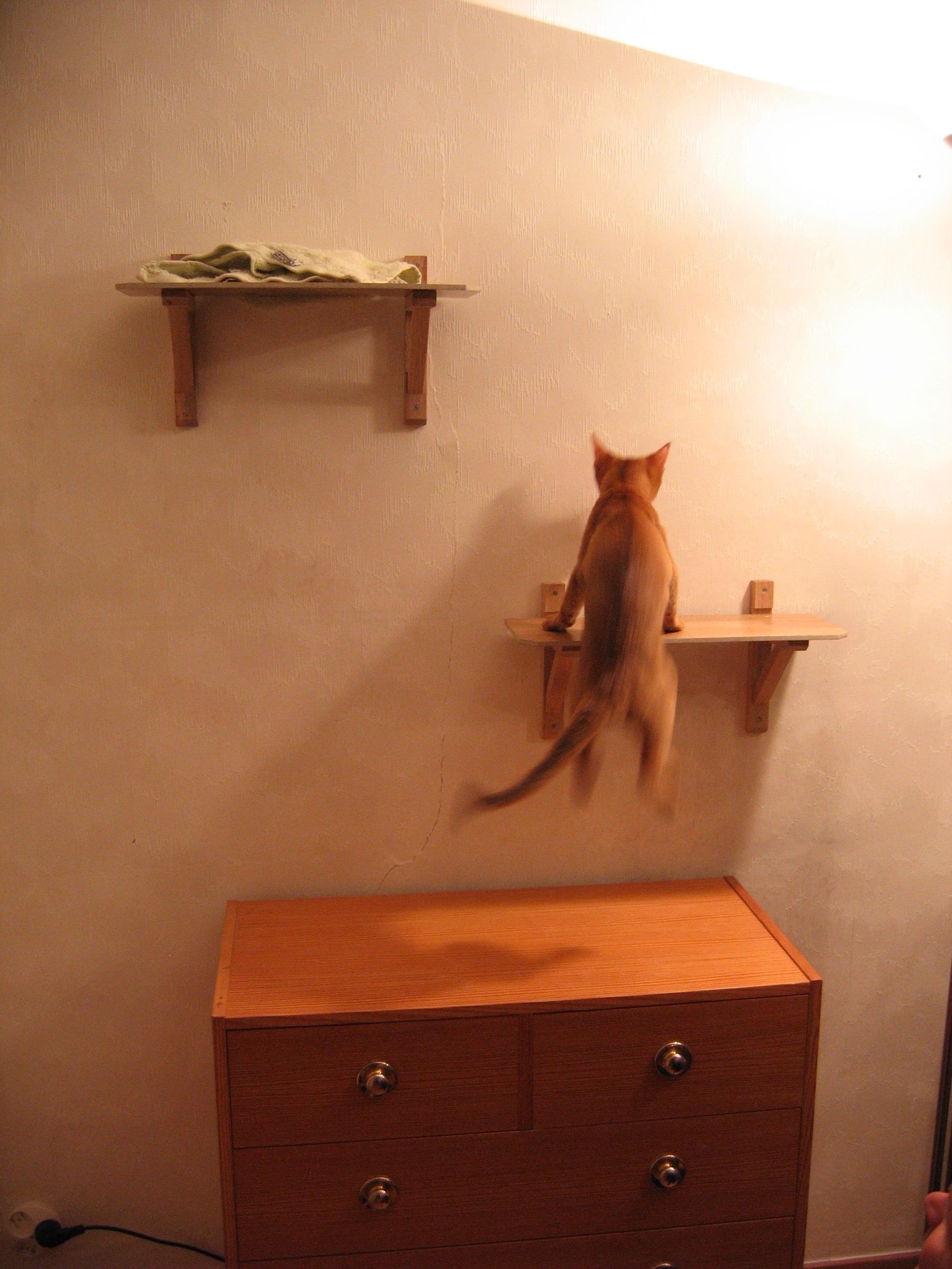 Full Size Cat Scratching / Climbing Post : 7 Steps - Instructables