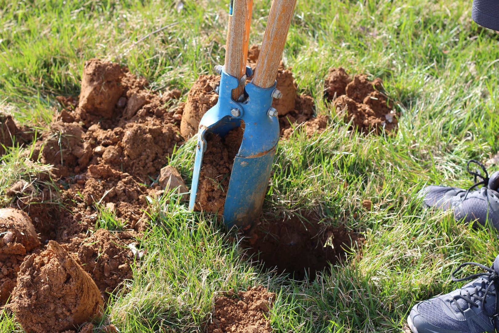 Backyard Raspberries : 17 Steps (with Pictures) - Instructables