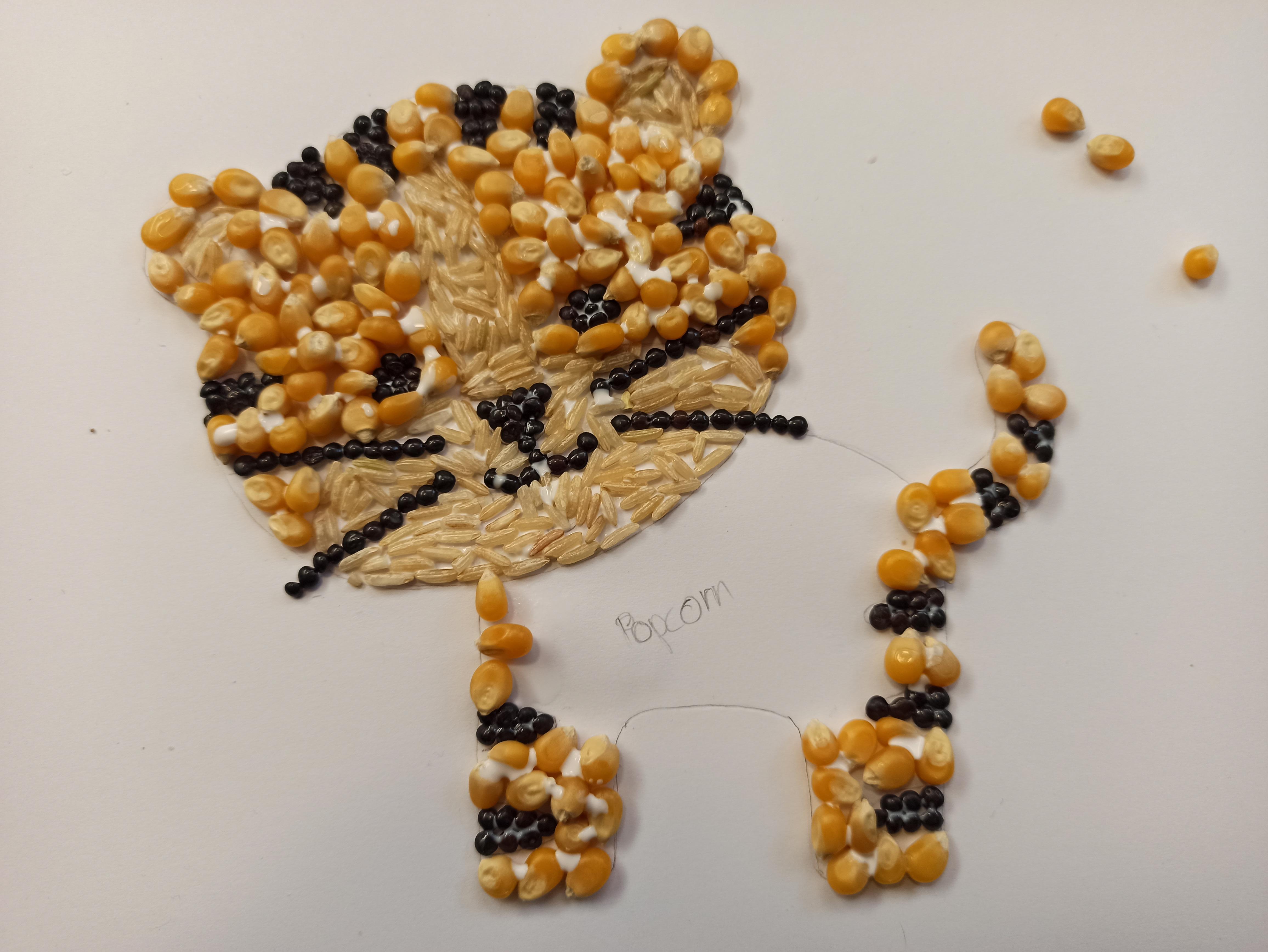 Easy Grains Art : 3 Steps - Instructables